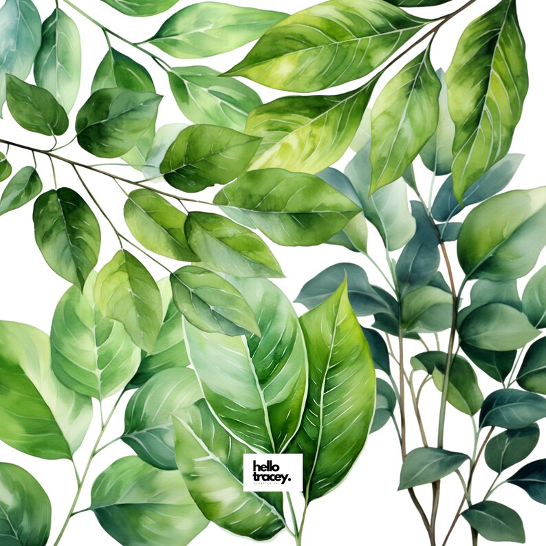 Green Leaves Leaf Clipart Pack, Clip Art for Commercial Use ...