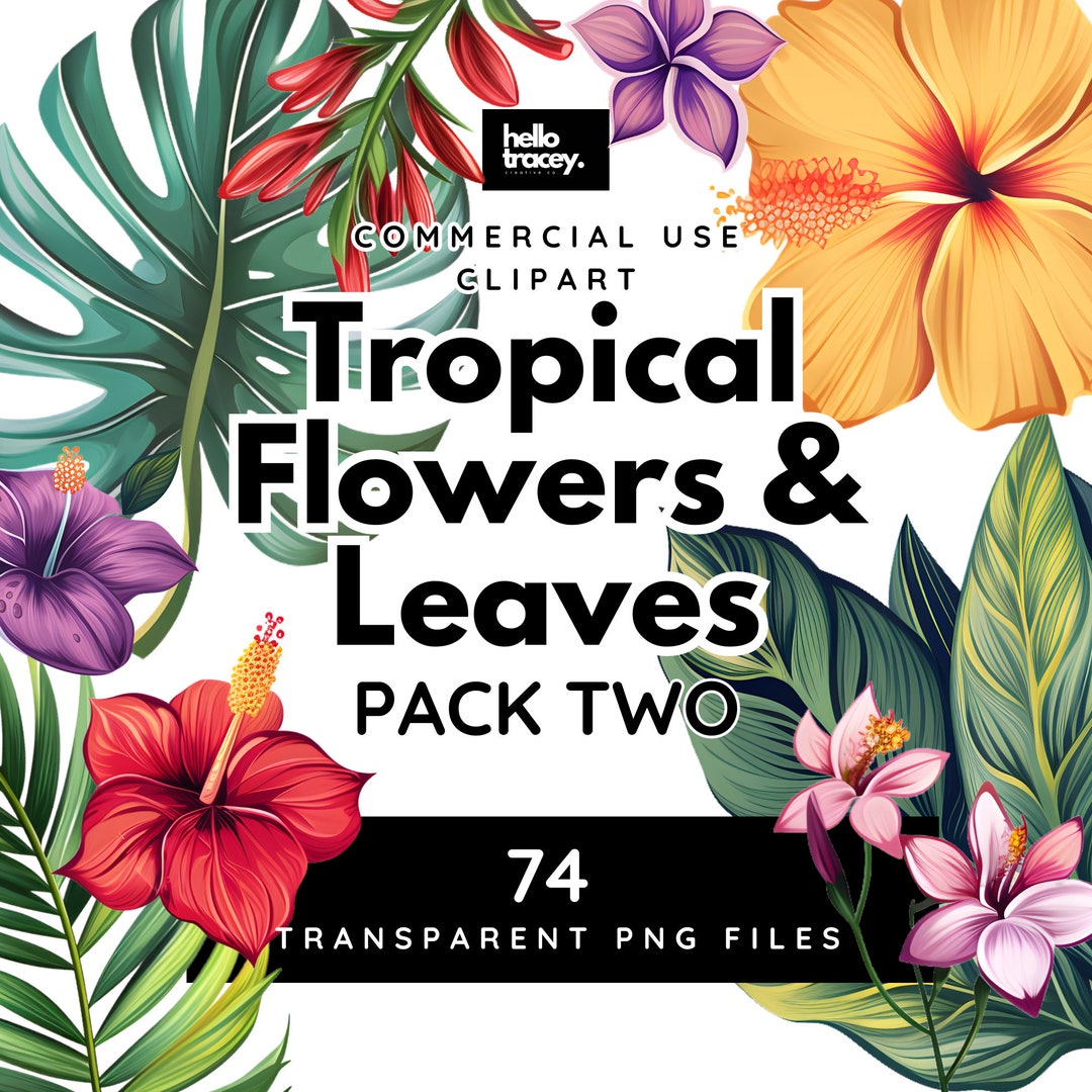 Tropical Flowers & Leaves Clipart Pack TWO, Hibiscus Palm Leaf Summer ...