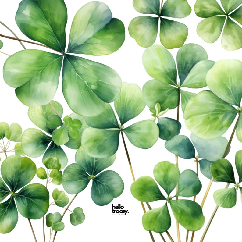 Clover Leaves Watercolor PNG Clipart, Four Leaf Clovers Transparent ...