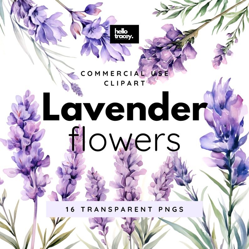 Lavender Flowers Clipart Pack, Clip Art for Commercial Use, Transparent ...