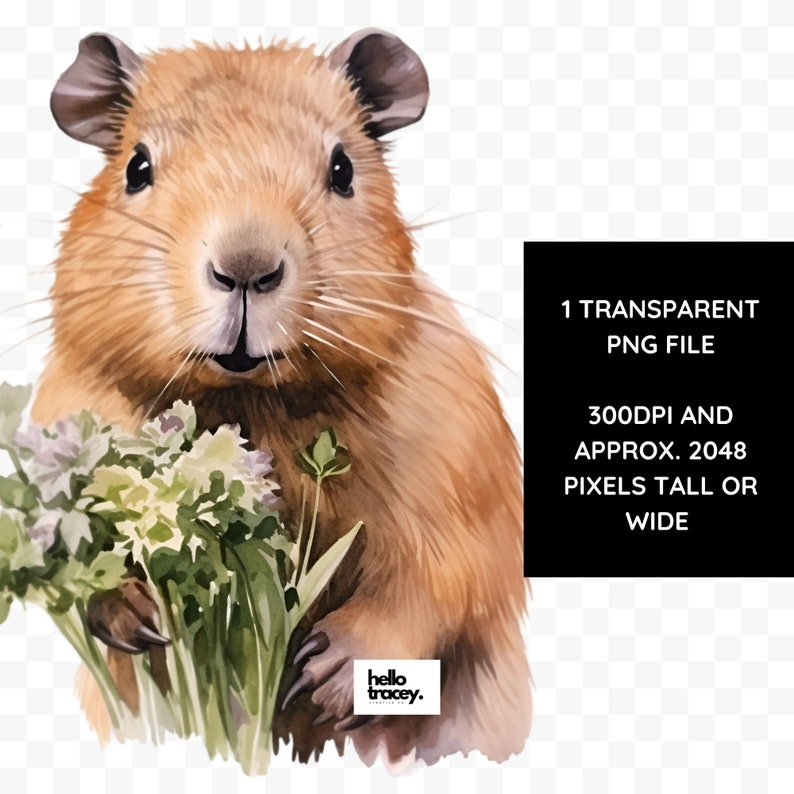 Cute Capybara PNG Clipart, Single Capybara Rodent With Flowers Clip Art ...