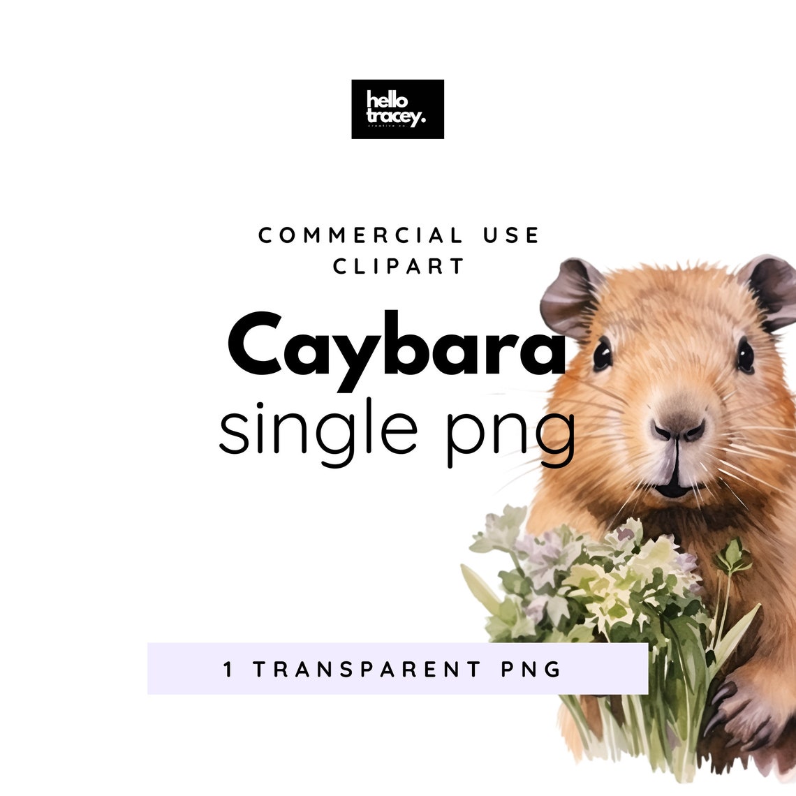 Cute Capybara PNG Clipart, Single Capybara Rodent With Flowers Clip Art ...