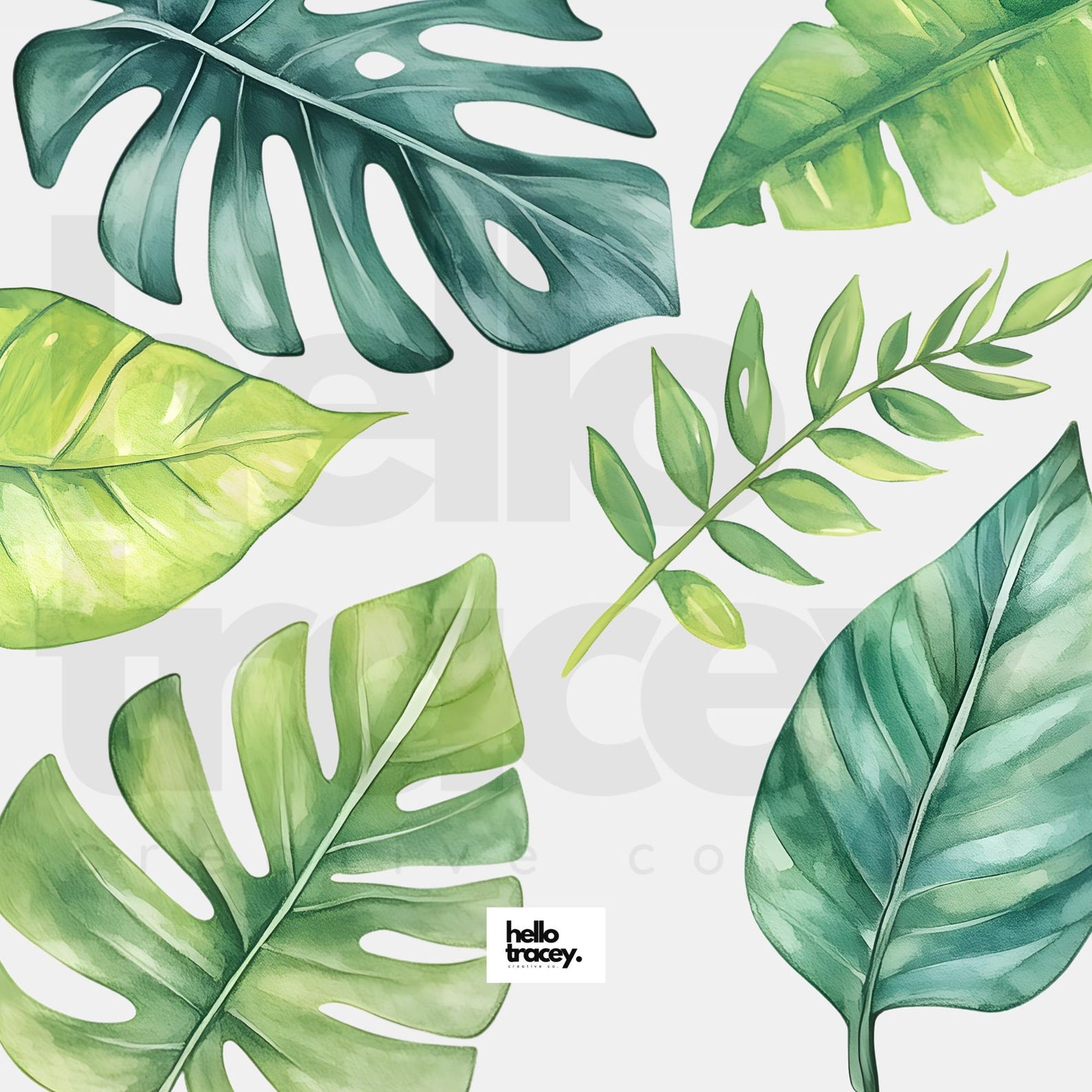 Monstera Leaves Leaf Clipart Pack, Monsterra Green Tropical Leaves Clip ...