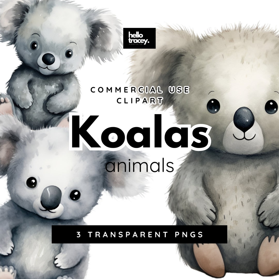 Aussie Koalas Clipart Pack, Clip Art for Commercial Use, Transparent ...