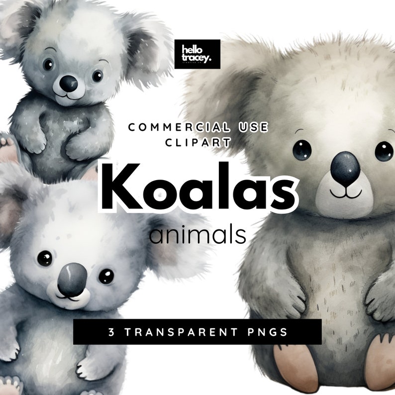 Aussie Koalas Clipart Pack, Clip Art for Commercial Use, Transparent ...