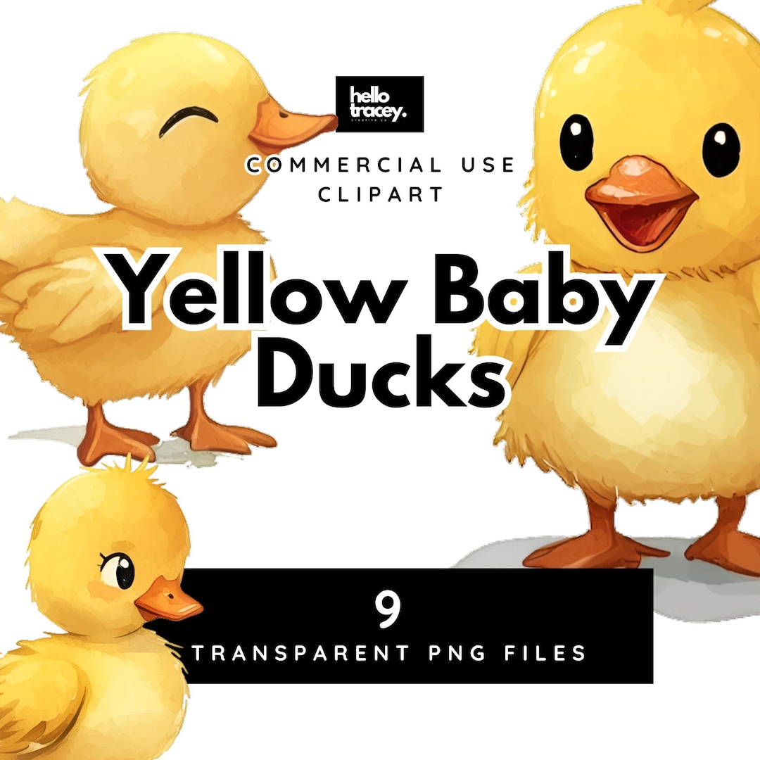 Yellow Baby Ducks Watercolor Illustrations PNG Clipart, Cute Yellow ...