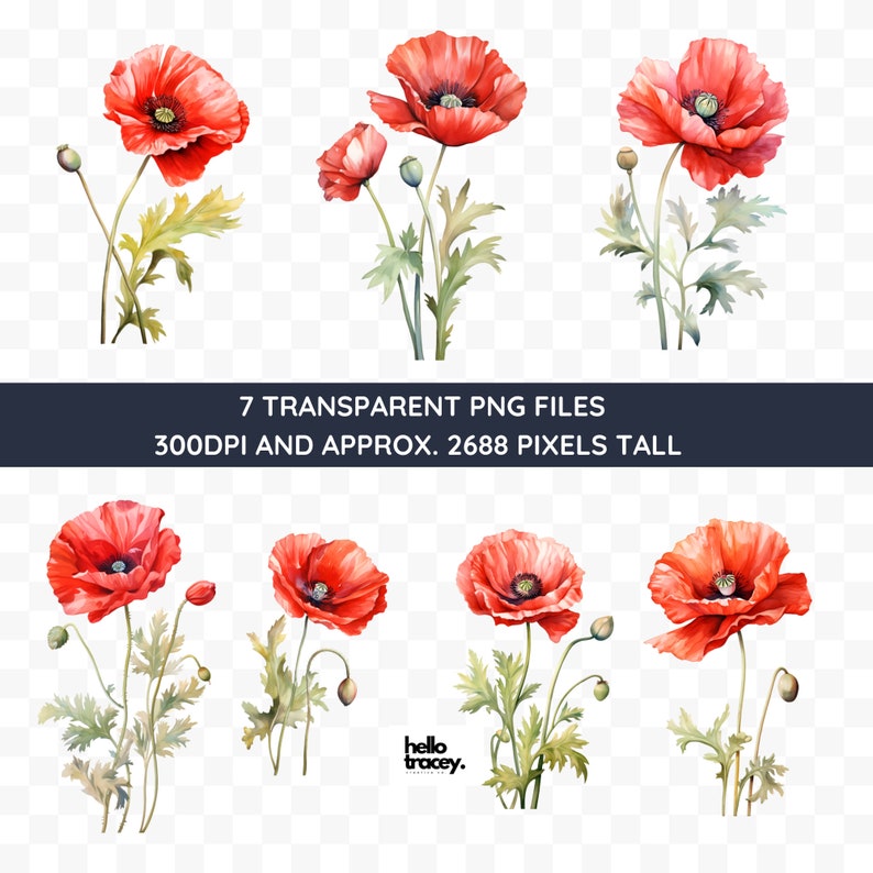 Red Poppy Flowers Clipart Pack, Clip Art for Commercial Use ...