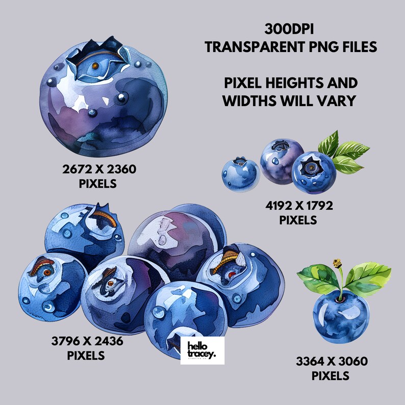 Blueberries PNG Clipart, Blueberry Fruit Berry Healthy Food Transparent ...