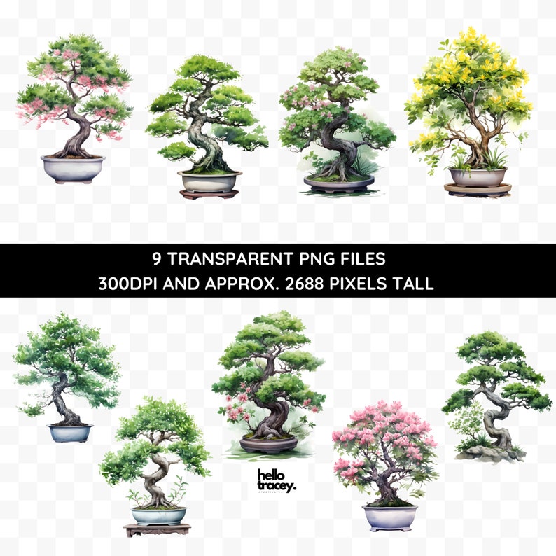 Bonsai Tree Clipart PNG, Tree Clip Art for Commercial Use, Transparent ...