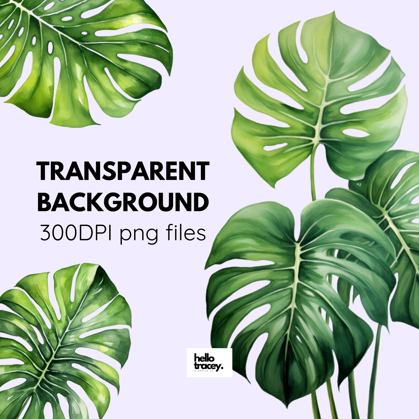 Monstera Leaves Leaf Clipart Pack, Clip Art for Commercial Use ...