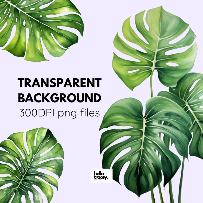 Monstera Leaves Leaf Clipart Pack, Clip Art for Commercial Use ...