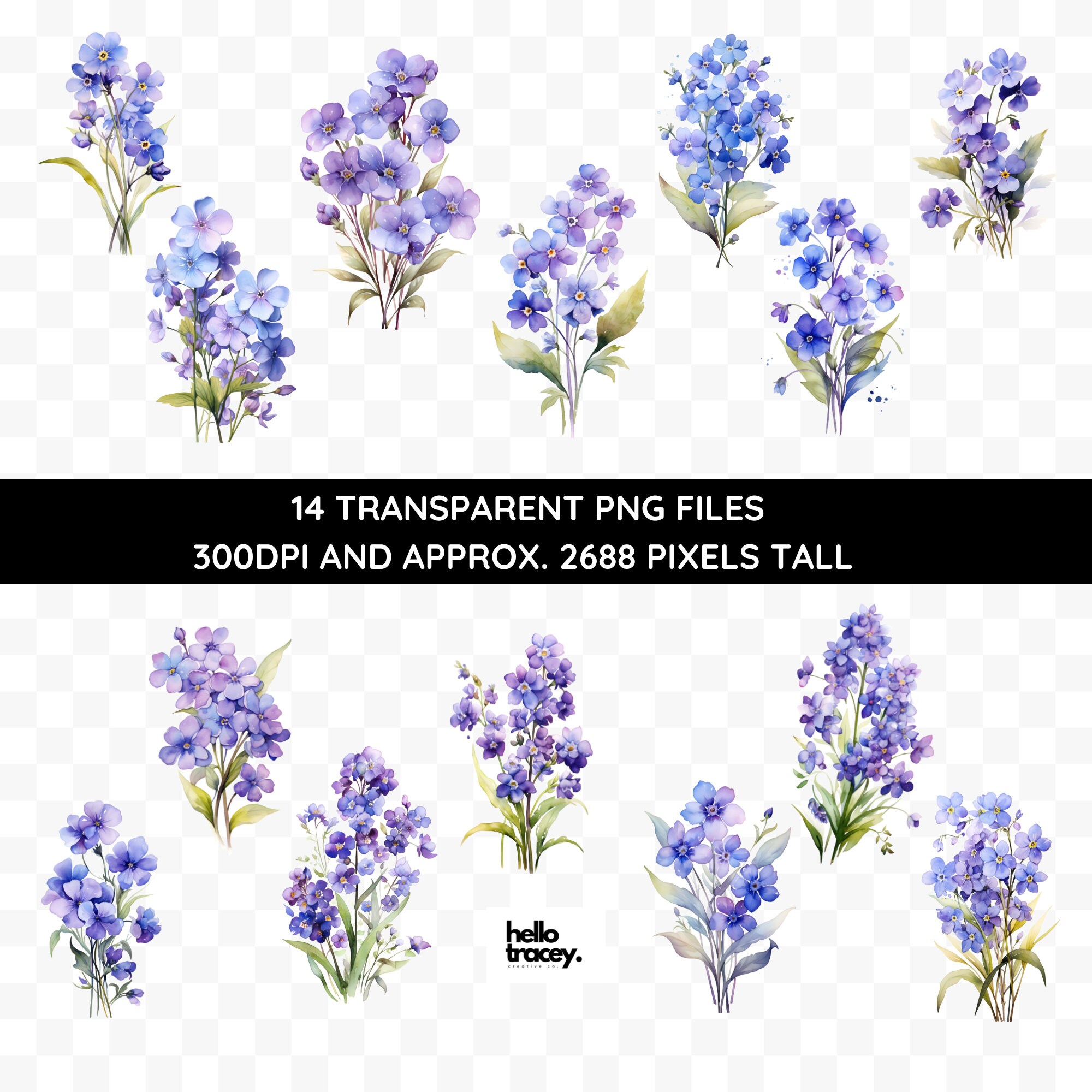 Purple Forget Me Not Flowers Clipart PNG, Clip Art for Commercial Use ...