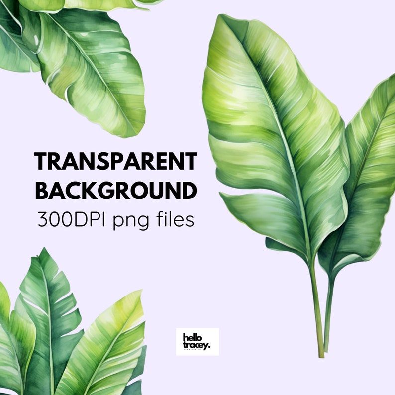 Banana Leaves Leaf Clipart Pack, Clip Art for Commercial Use ...