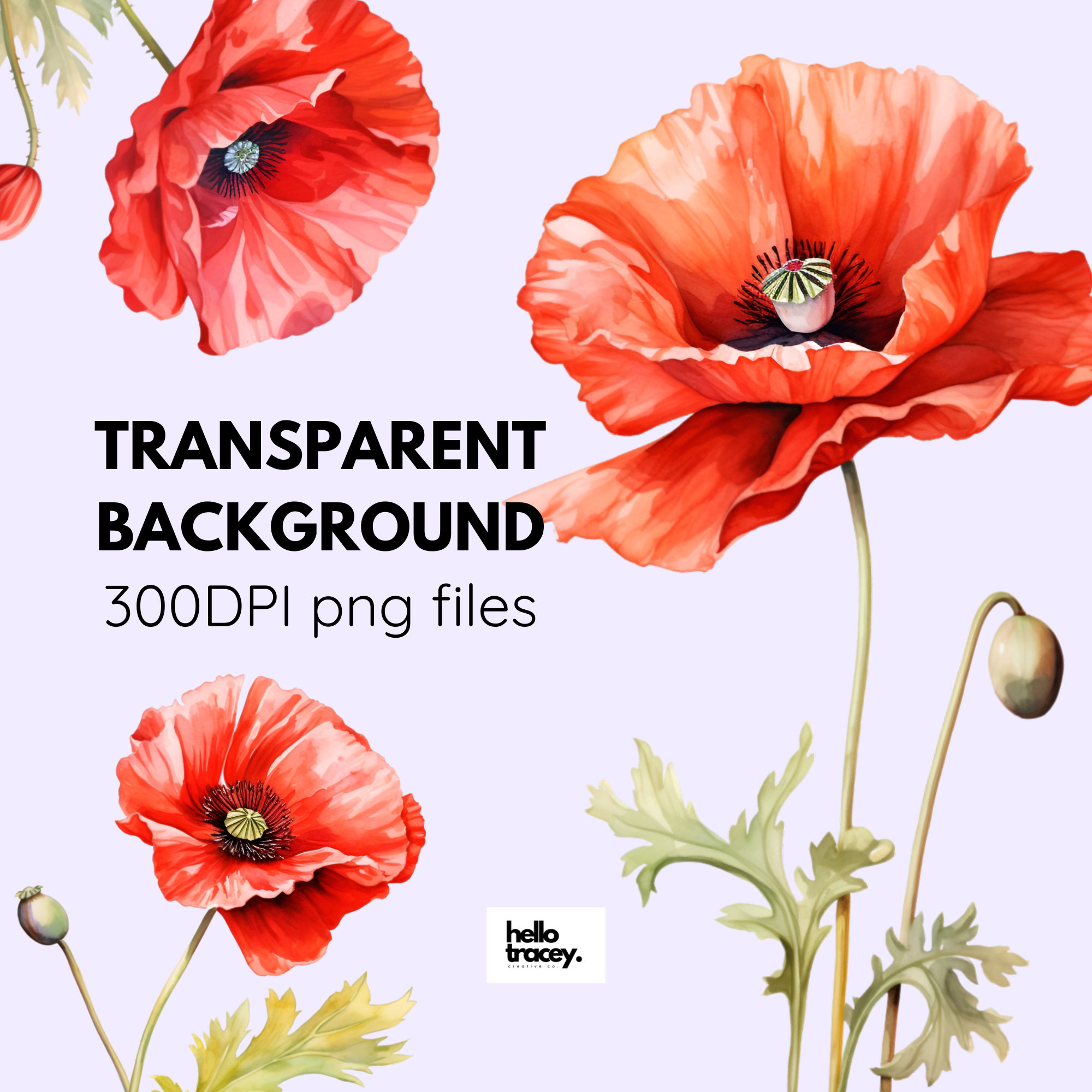 Red Poppy Flowers Clipart Pack, Clip Art for Commercial Use ...