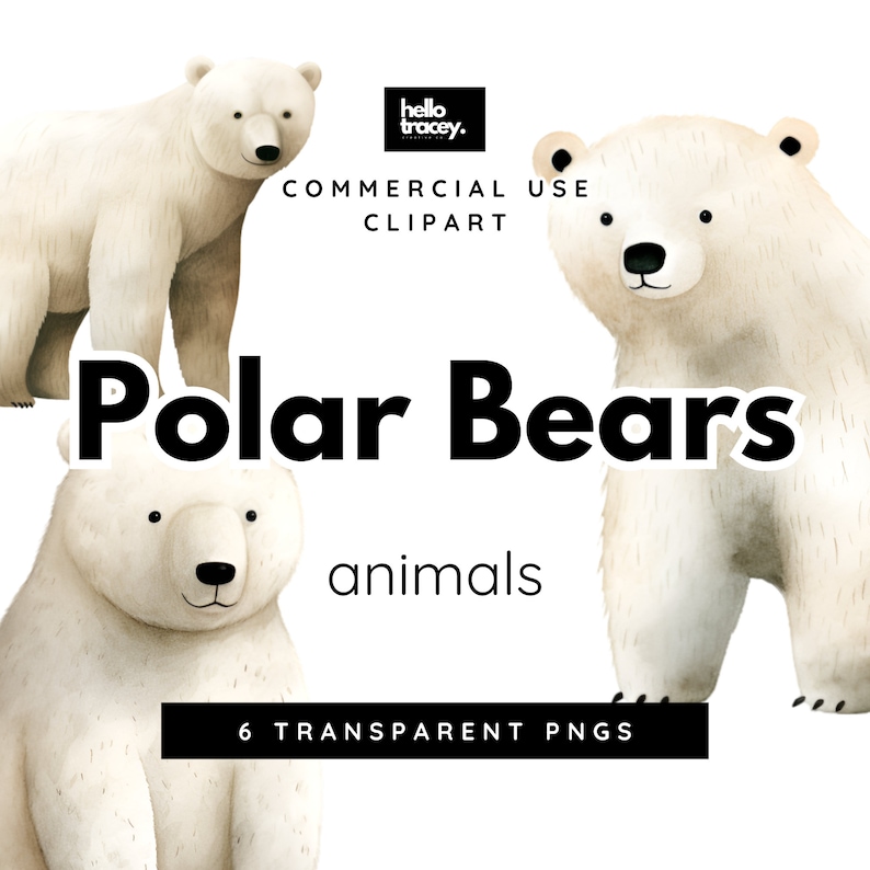 Polar Bear Clipart Pack, Clip Art for Commercial Use, Transparent Pngs ...