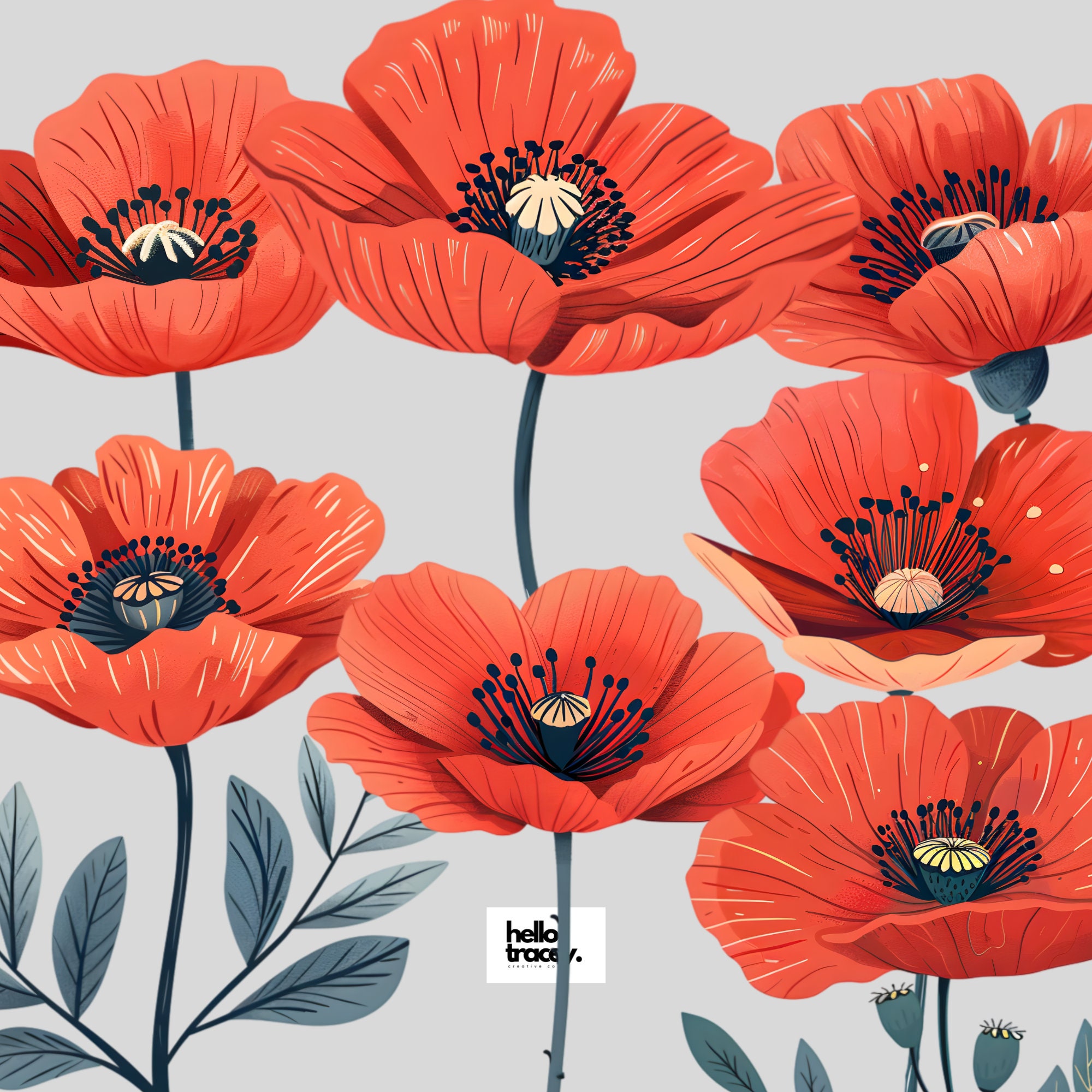Red Poppy Flower Clipart Pack, Clip Art for Commercial Use, Transparent ...