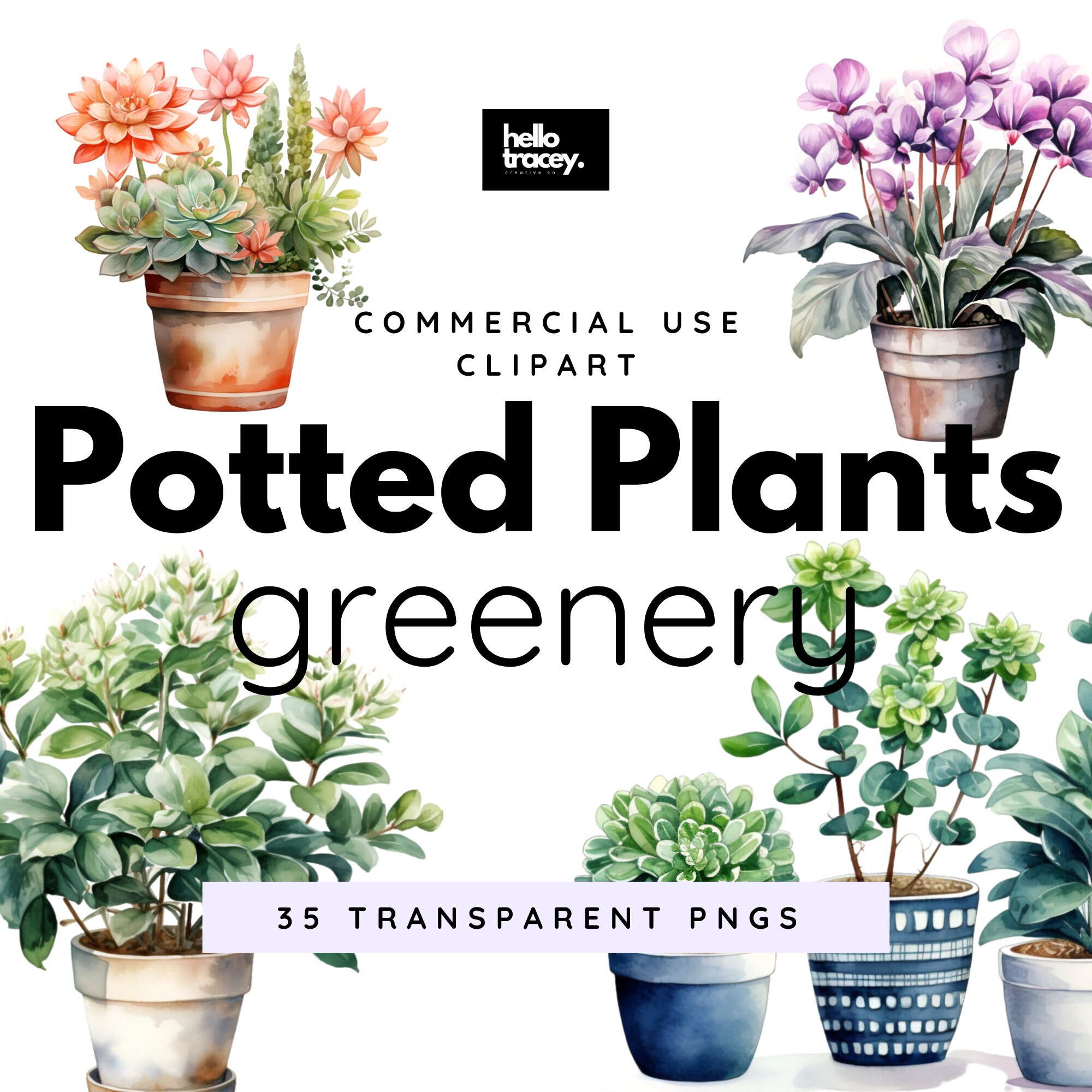 Watercolor Potted Plants PNG Clipart, Potted Garden Plant Transparent ...