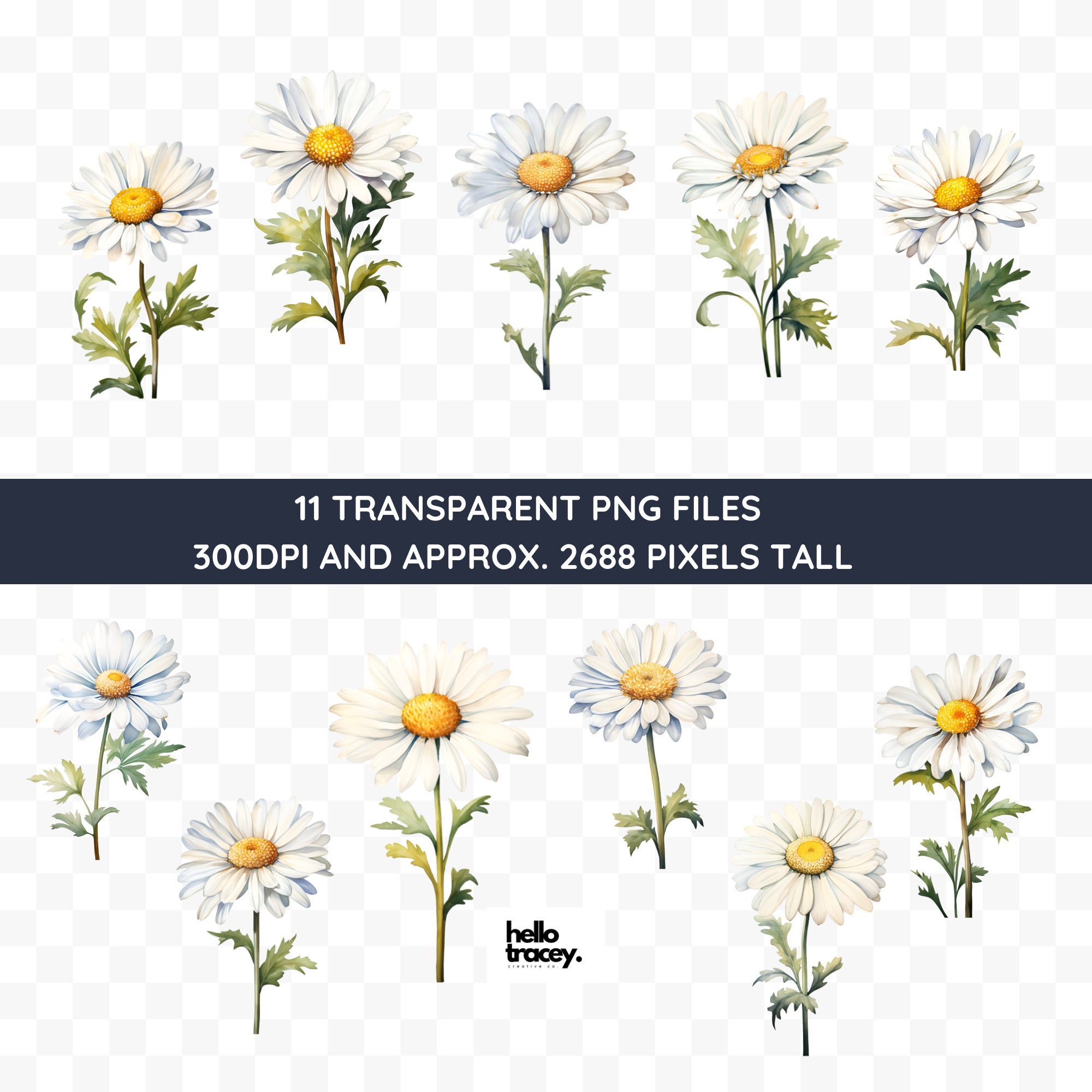 White Daisy Daisies Flowers Clipart Pack, Clip Art for Commercial Use ...