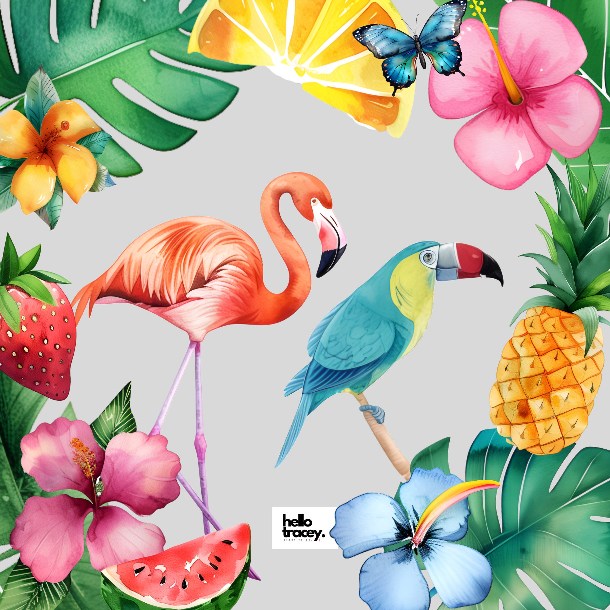 Tropical Elements Clipart Pack, Summer Flowers Birds Fruit Leaves Clip ...