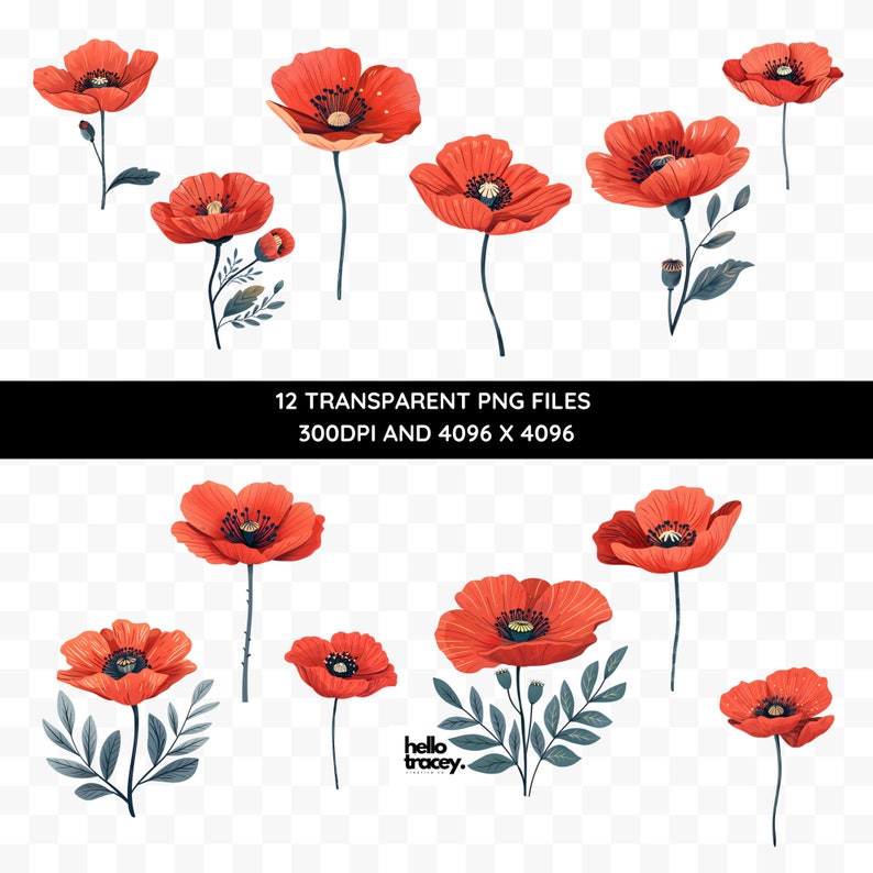 Red Poppy Flower Clipart Pack, Clip Art for Commercial Use, Transparent ...