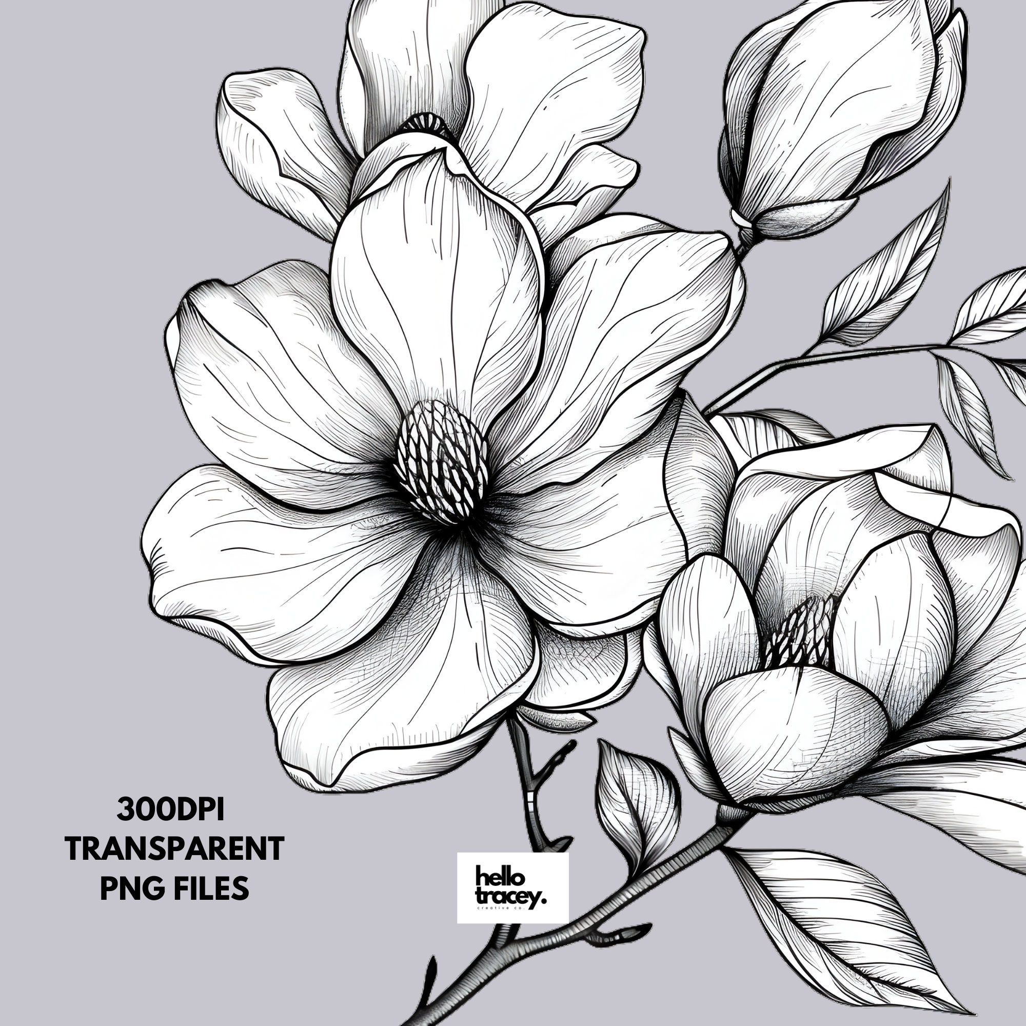 Magnolia Flower Outlines Clipart Pack, Magnolia Floral Clip Art for ...