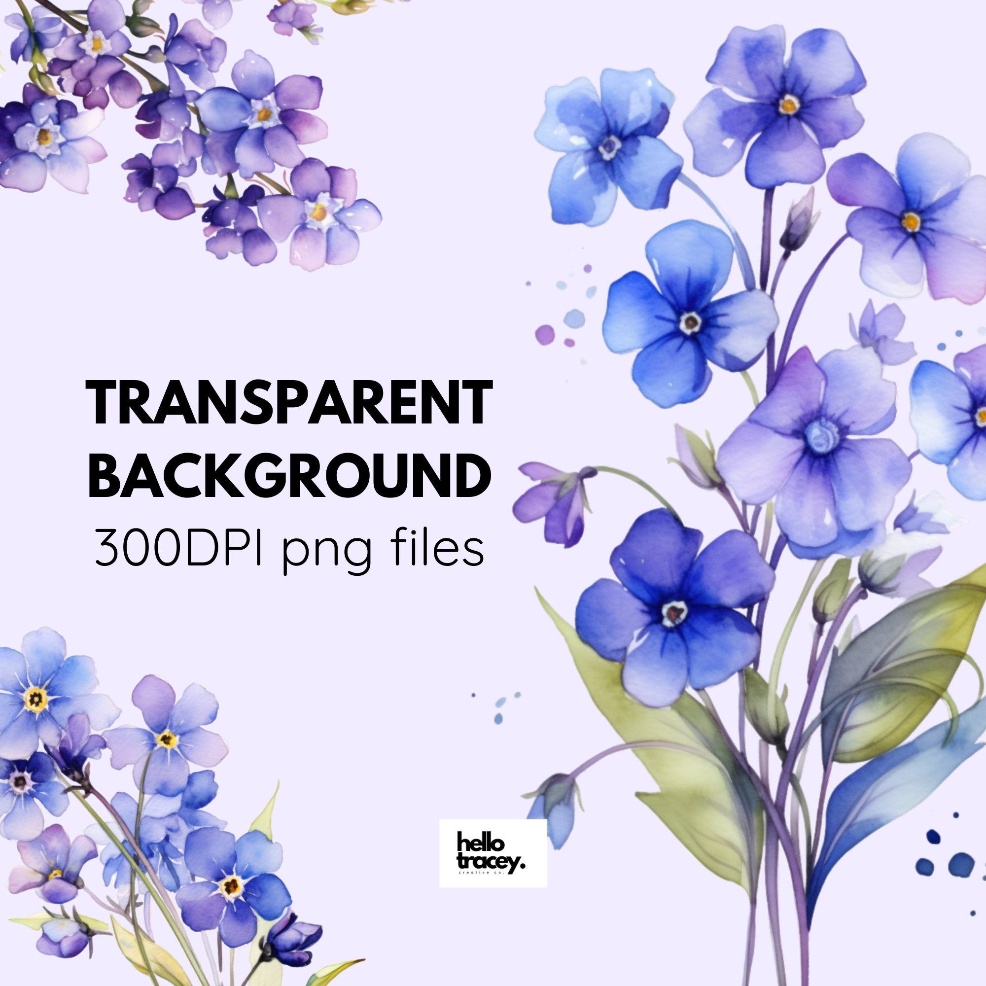 Purple Forget Me Not Flowers Clipart PNG, Clip Art for Commercial Use ...