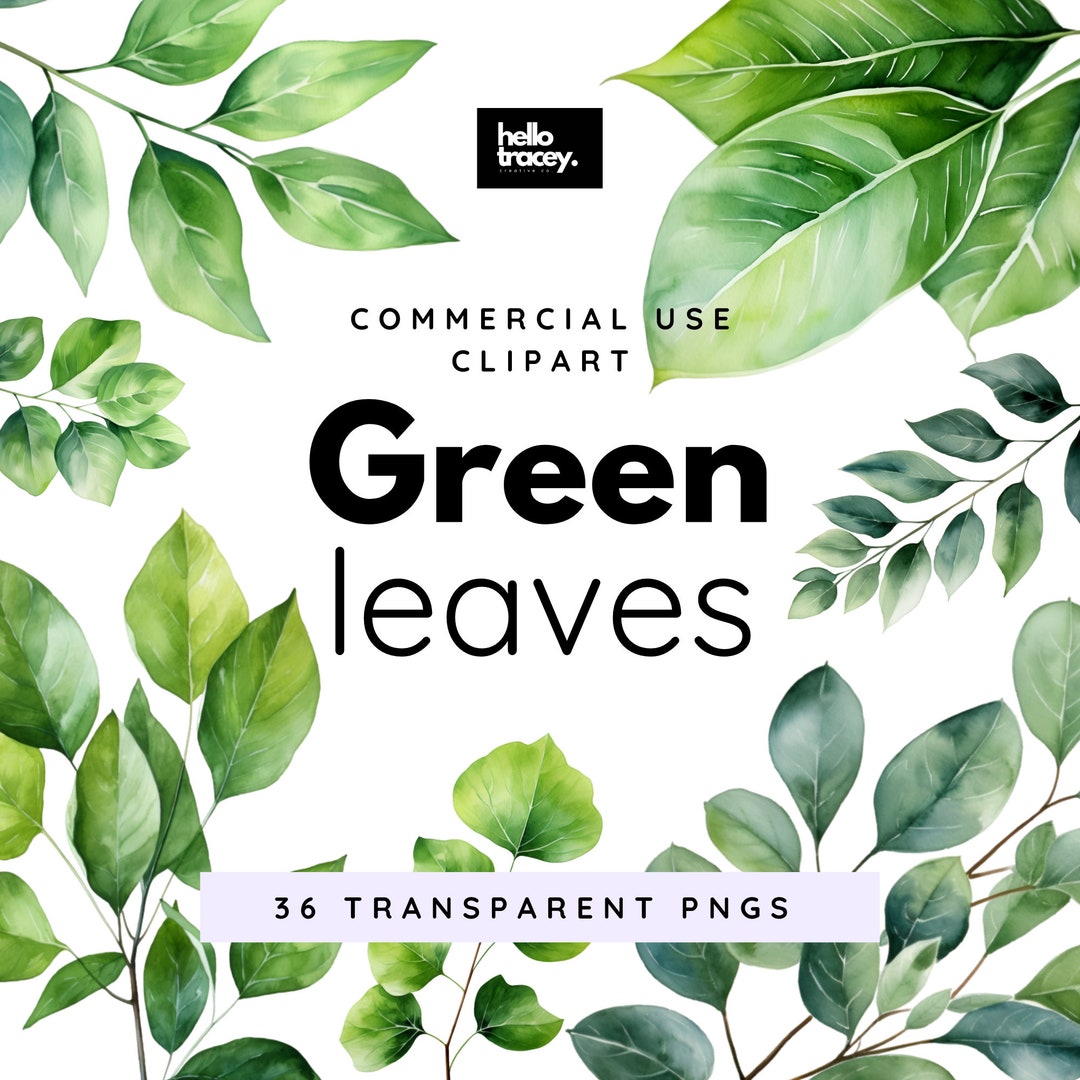 Green Leaves Leaf Clipart Pack, Clip Art for Commercial Use ...