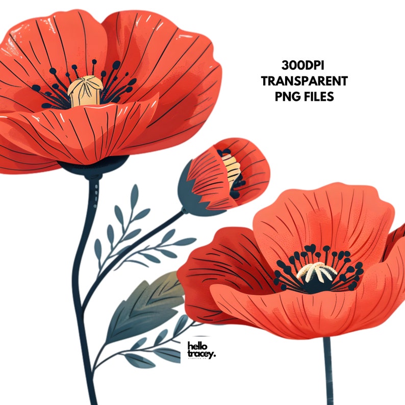 Red Poppy Flower Clipart Pack, Clip Art for Commercial Use, Transparent ...