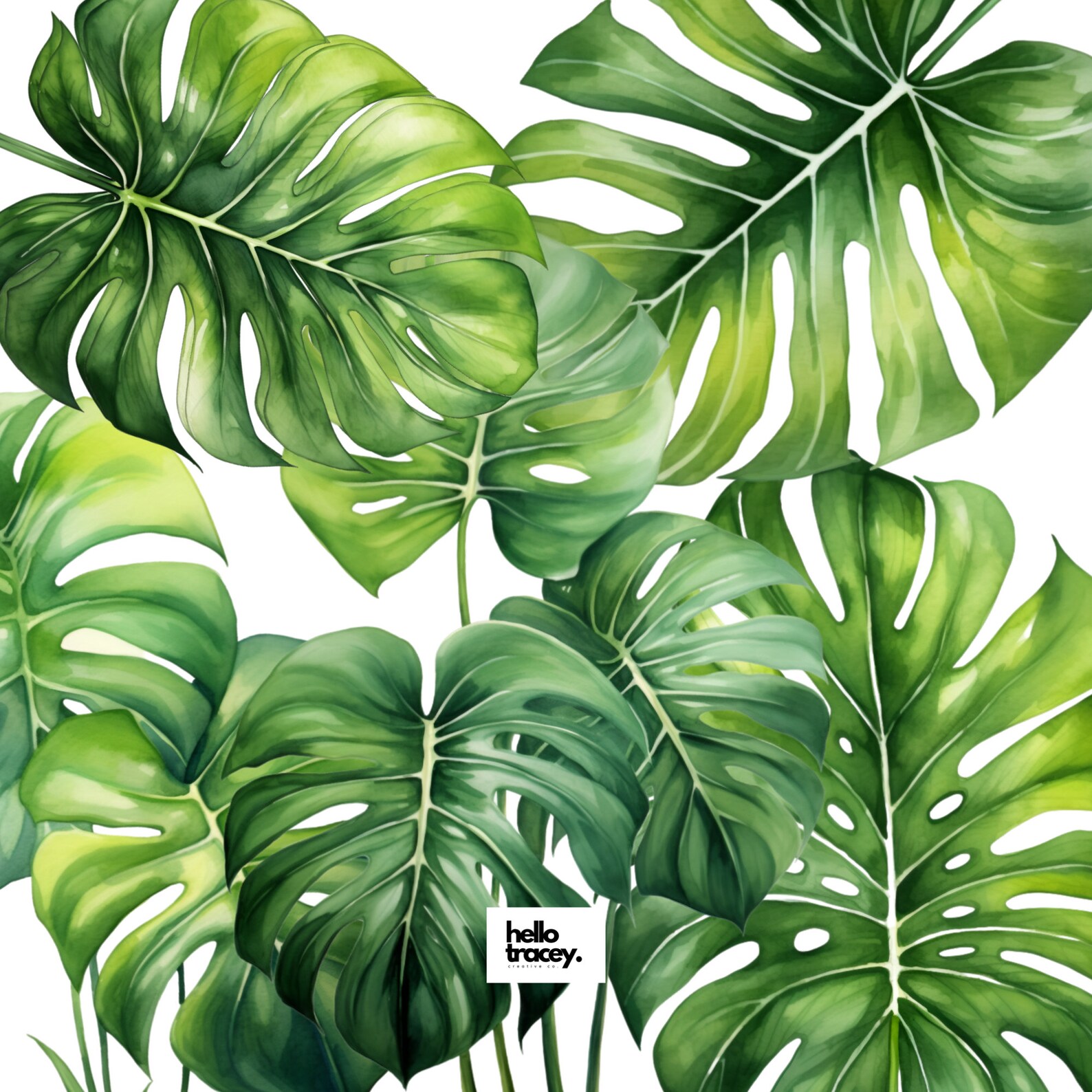 Monstera Leaves Leaf Clipart Pack, Clip Art for Commercial Use ...