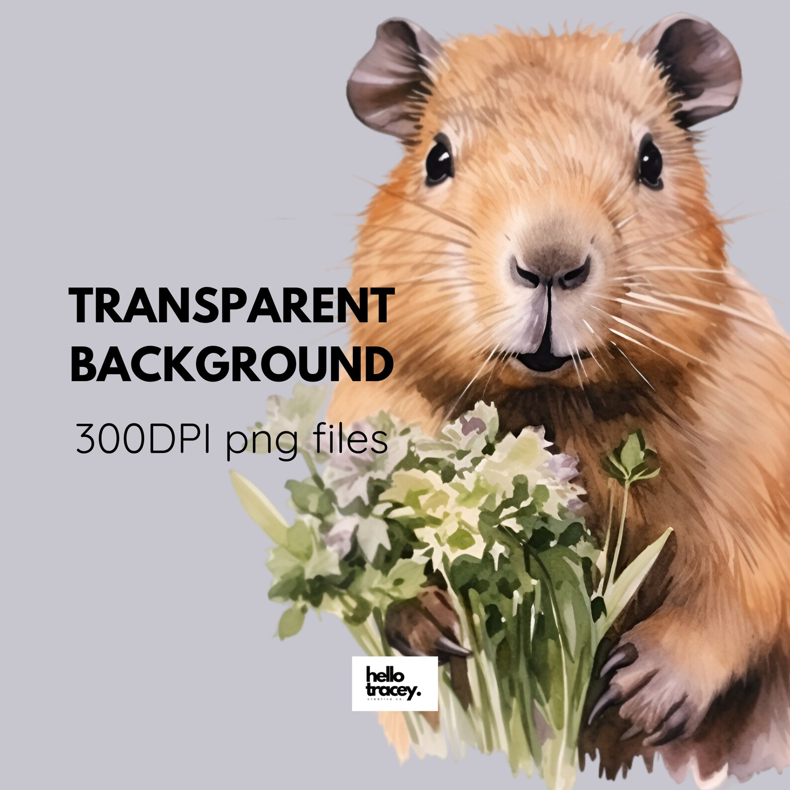 Cute Capybara PNG Clipart, Single Capybara Rodent With Flowers Clip Art ...