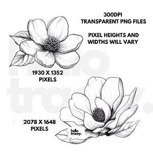 Single Magnolia Flower Outlines Clipart Pack, Magnolia Floral Clip Art ...