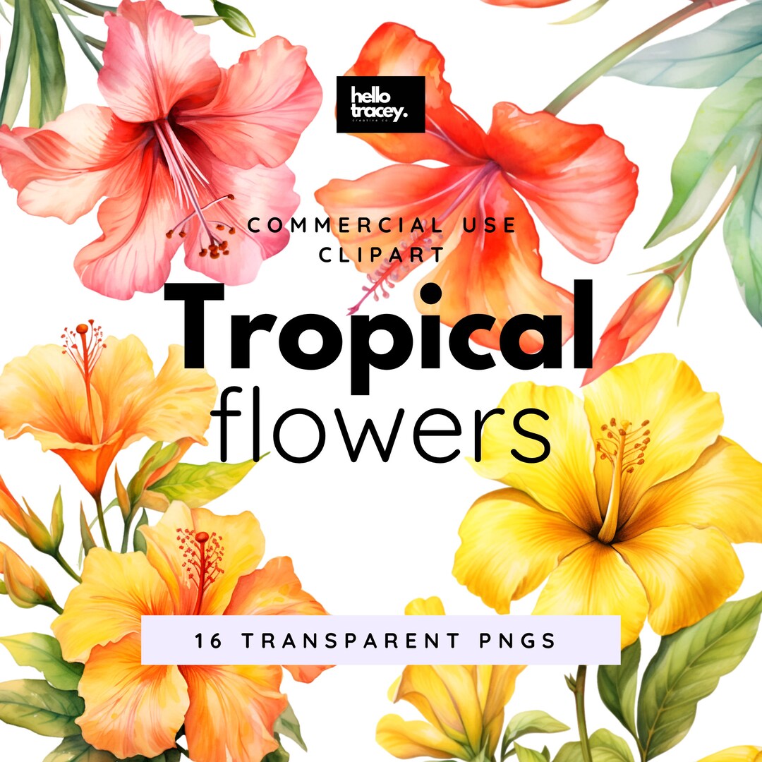 Tropical Hibiscus Flowers Clipart Pack, Clip Art for Commercial Use ...