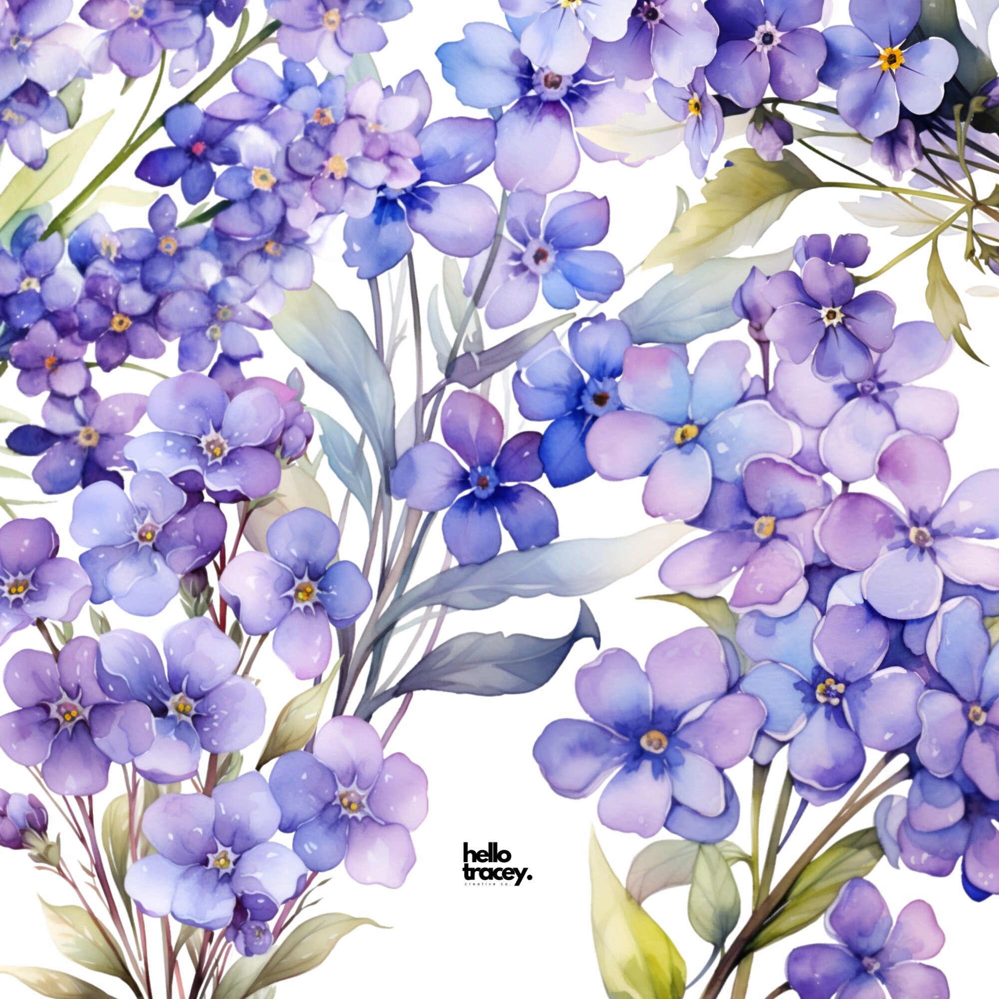 Purple Forget Me Not Flowers Clipart PNG, Clip Art for Commercial Use ...