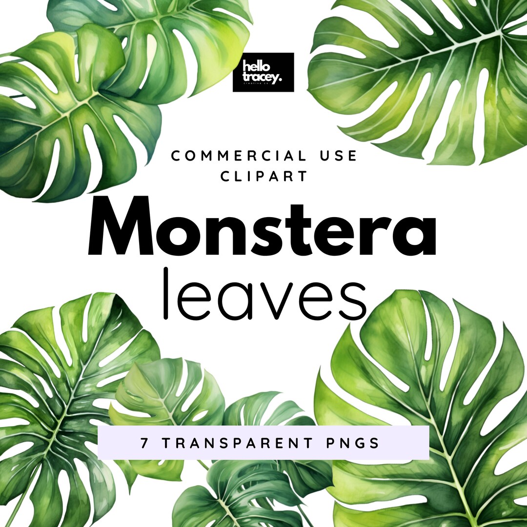 Monstera Leaves Leaf Clipart Pack, Clip Art for Commercial Use ...