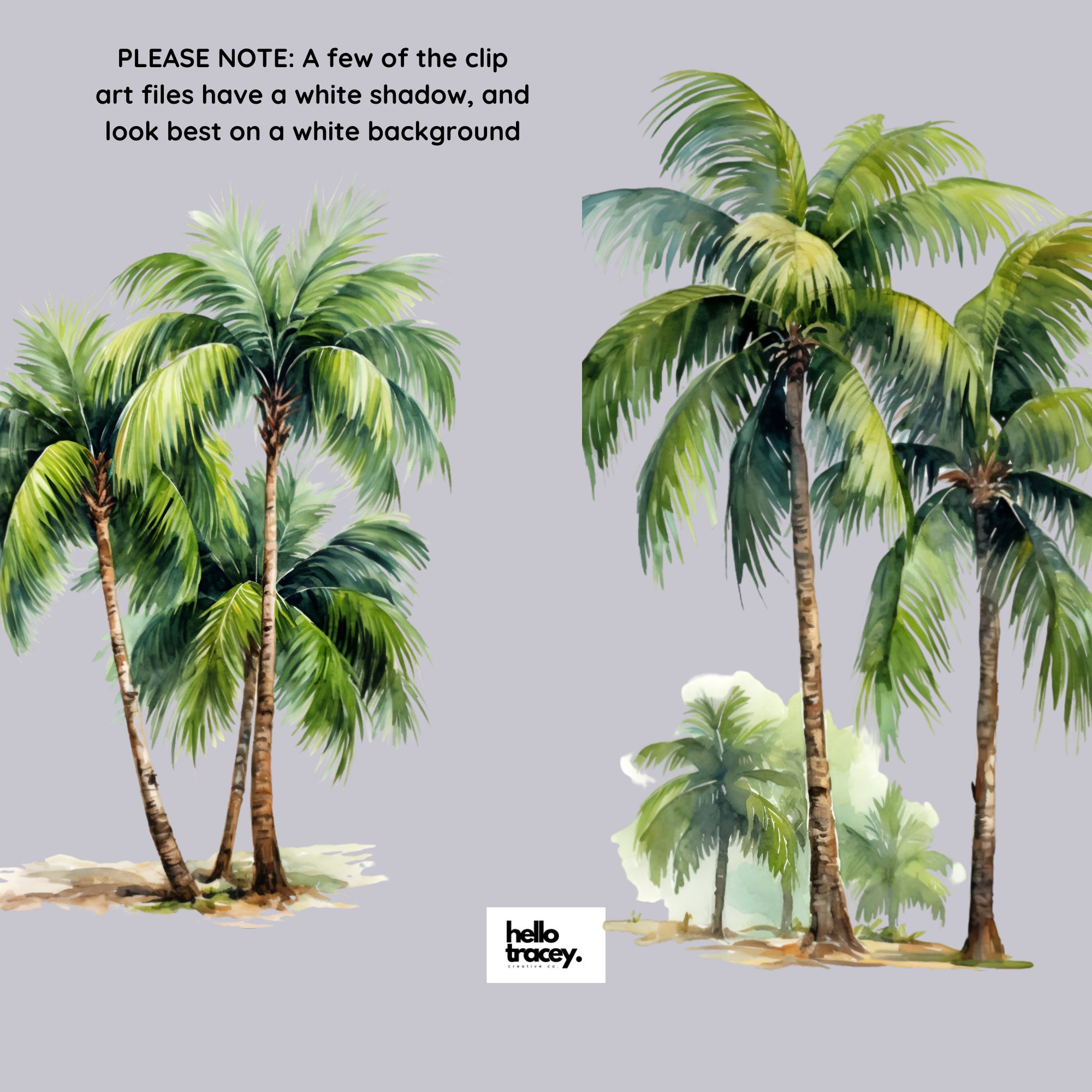 Palm Tree Clipart PNG, Tropical Trees Clip Art for Commercial Use ...