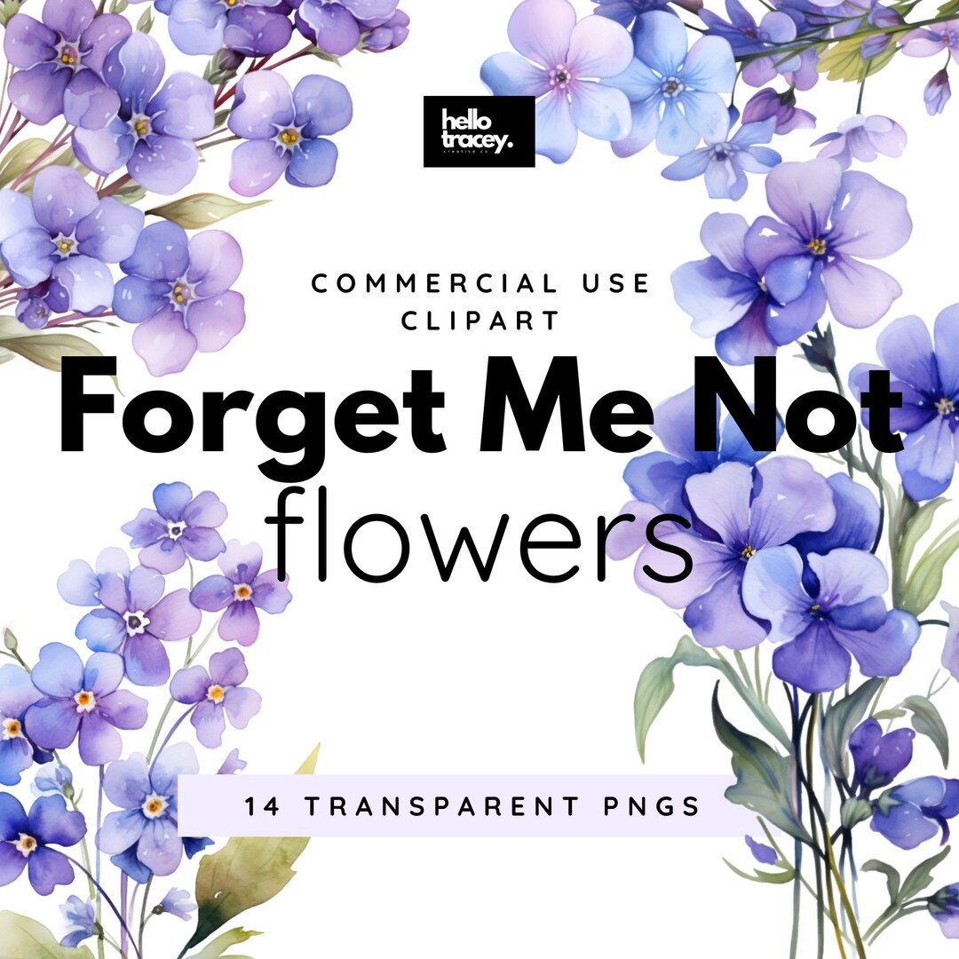 Purple Forget Me Not Flowers Clipart PNG, Clip Art for Commercial Use ...