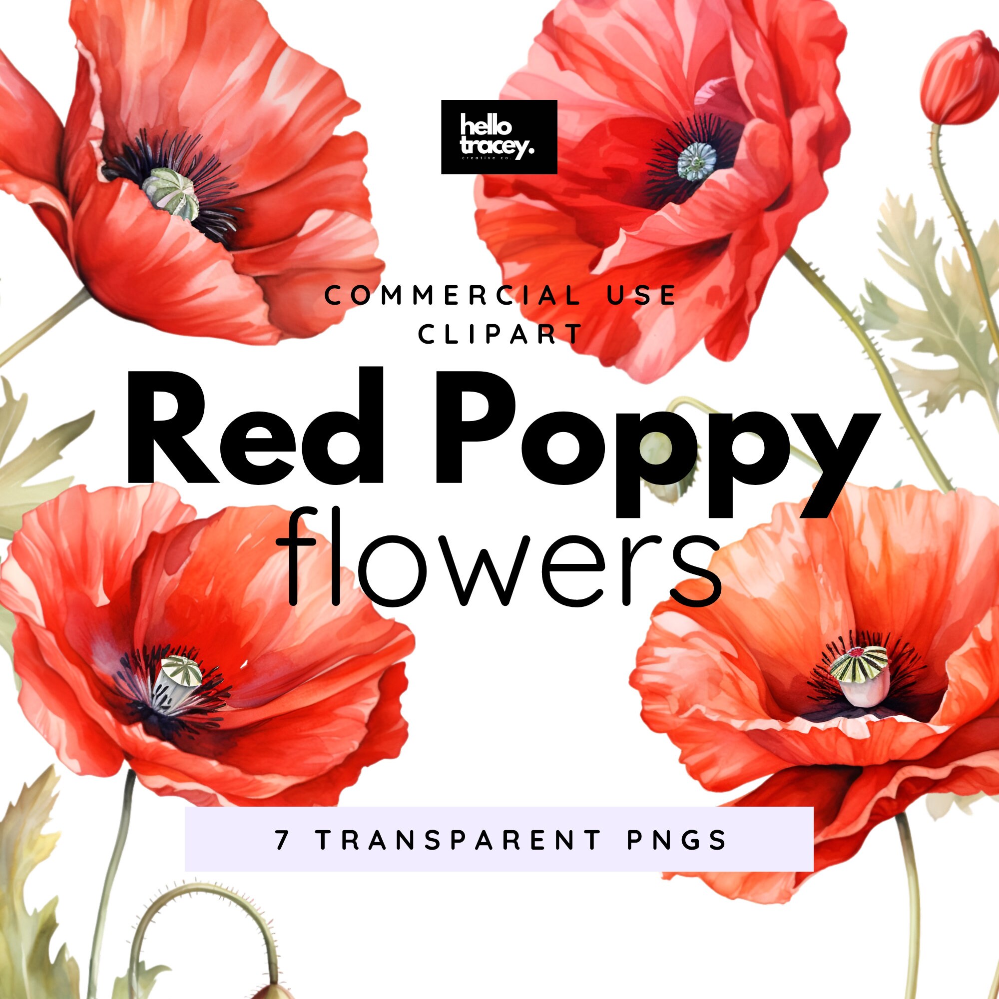 Red Poppy Flowers Clipart Pack, Clip Art for Commercial Use ...