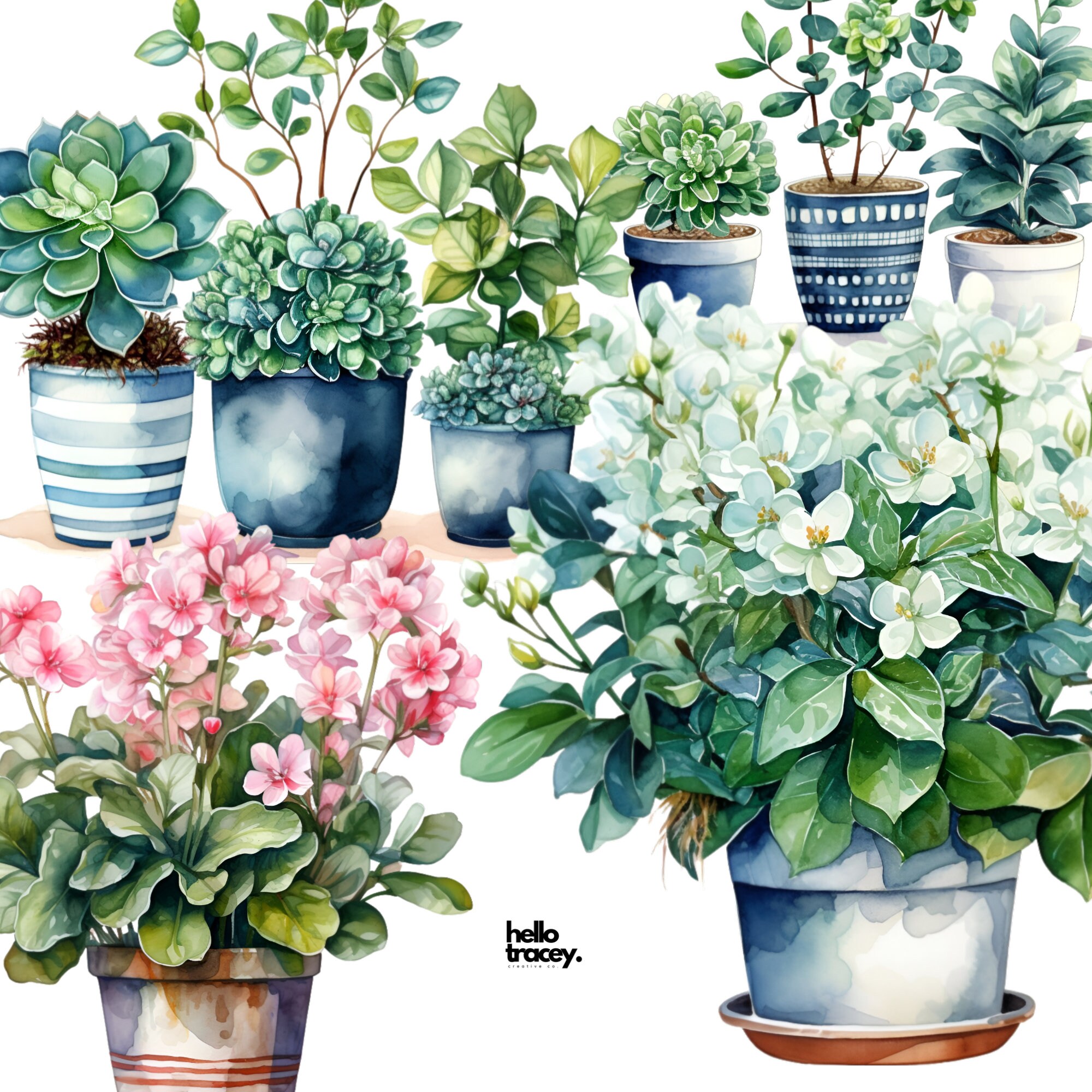Watercolor Potted Plants PNG Clipart, Potted Garden Plant Transparent ...