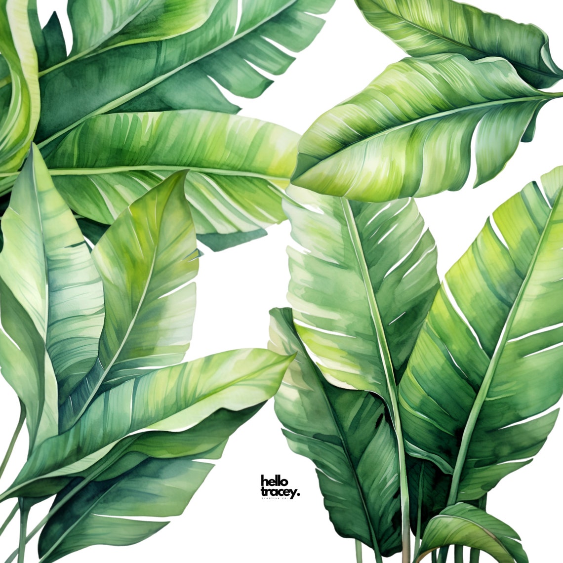 Banana Leaves Leaf Clipart Pack, Clip Art for Commercial Use ...