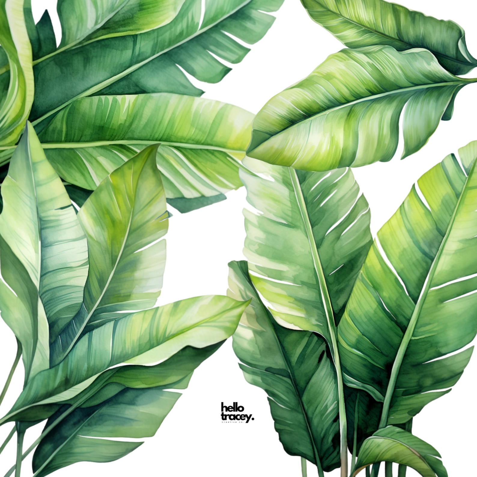 Banana Leaves Leaf Clipart Pack, Clip Art for Commercial Use ...