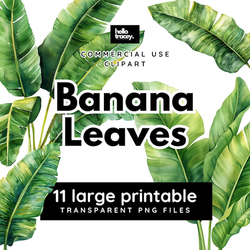 Banana Leaves Leaf LARGE PNG Clipart Pack, Clip Art for Commercial Use ...