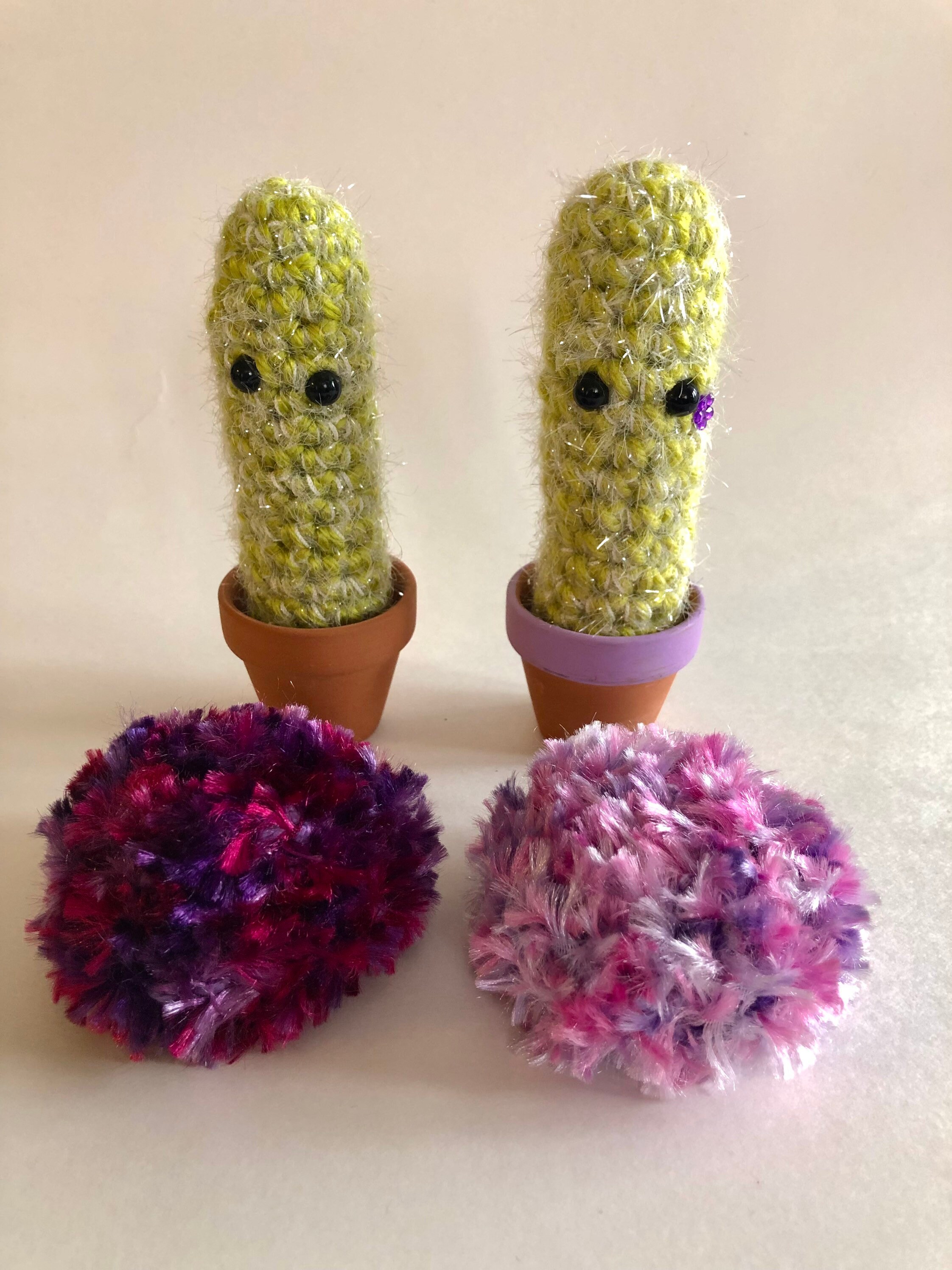 SET of 2. Hippie Pickle Crochet Cactus Collectable, Office Decor, Desk ...
