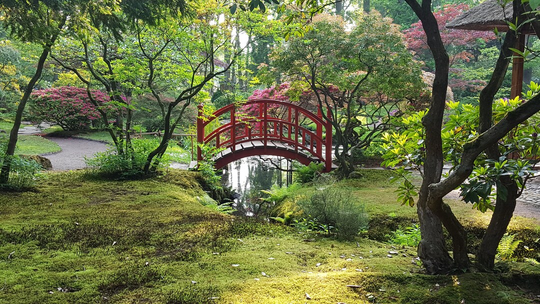 Soribashi Zen Garden Photography Japanese Culture - Etsy