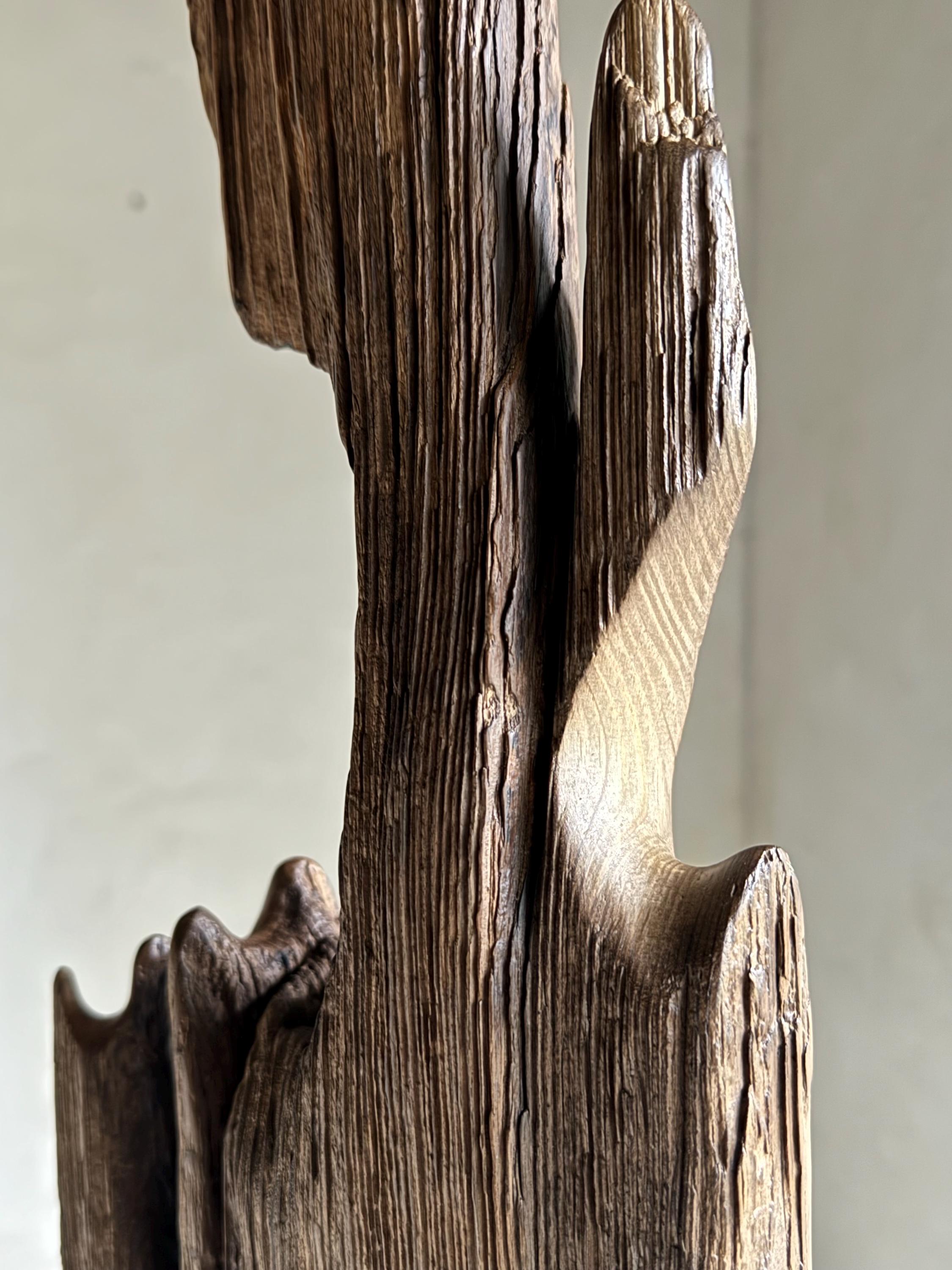 Unique Driftwood Coat Rack Artistic Sculpture With Hidden Hooks ...