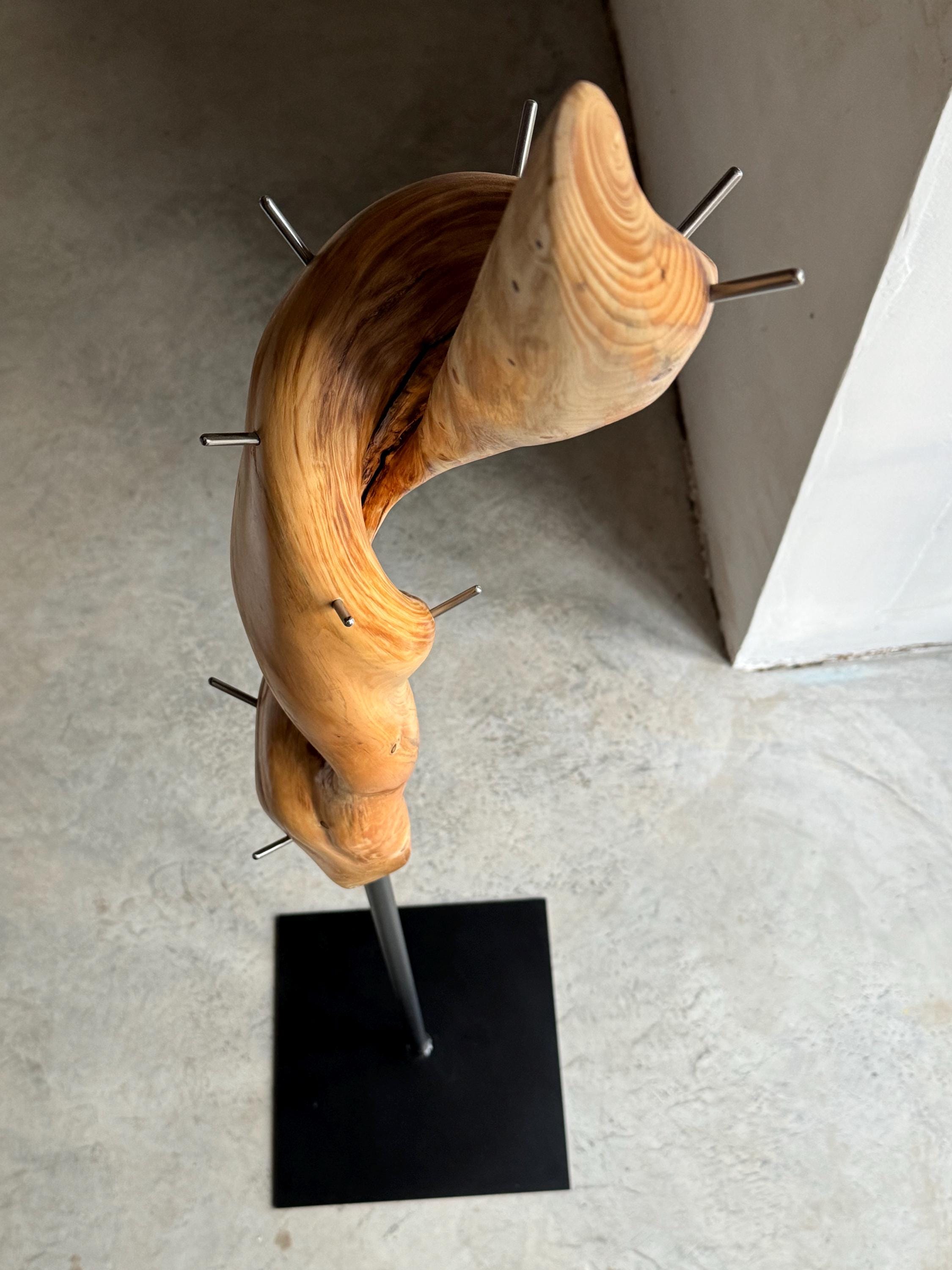 Unique Coat Rack - Handcrafted Art Piece With 10 Hooks. - Etsy