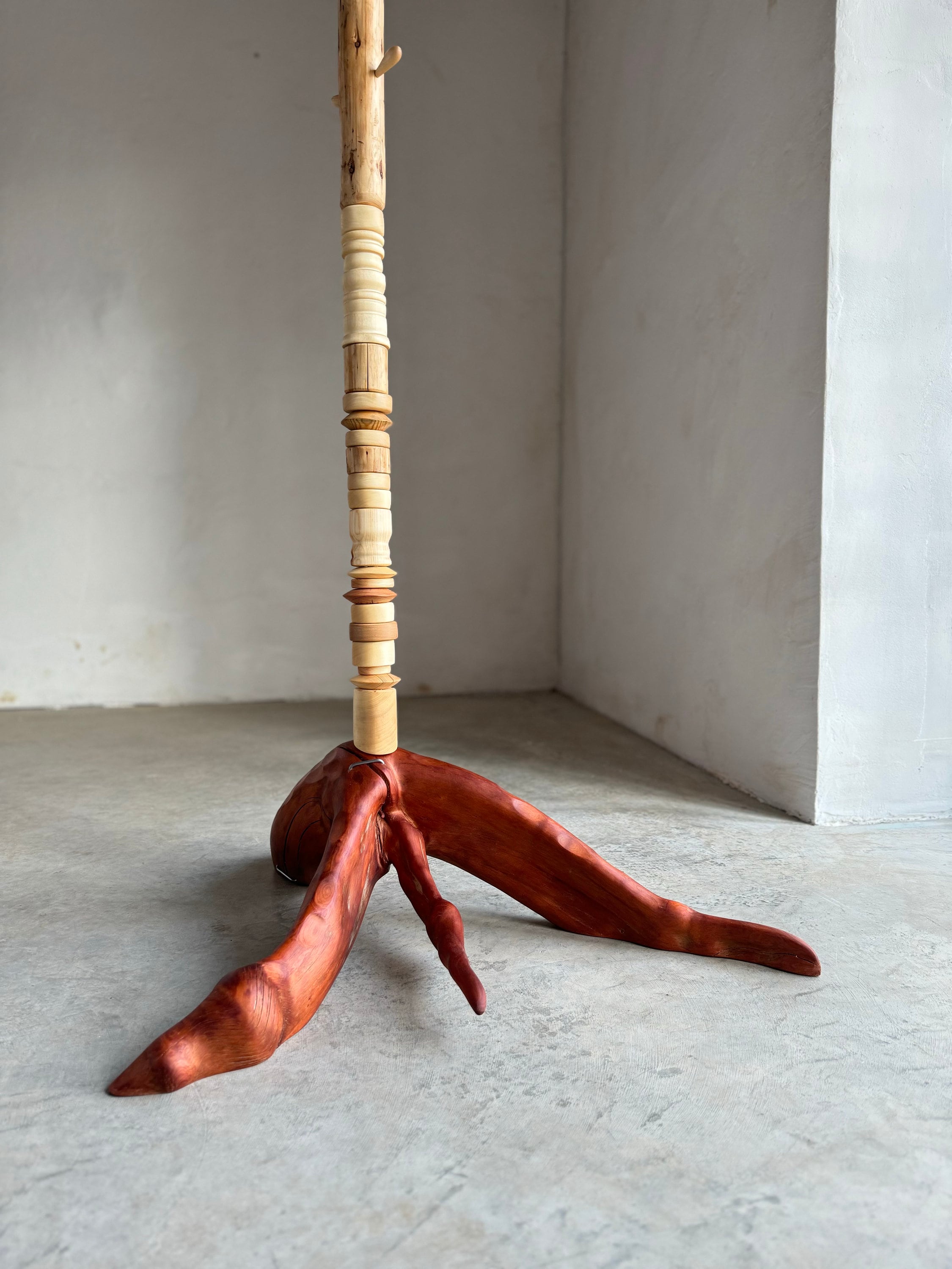 Red Wooden Root Coat Rack, Coat Rack, Rustic Tree Coat Stand, Coat Rack ...