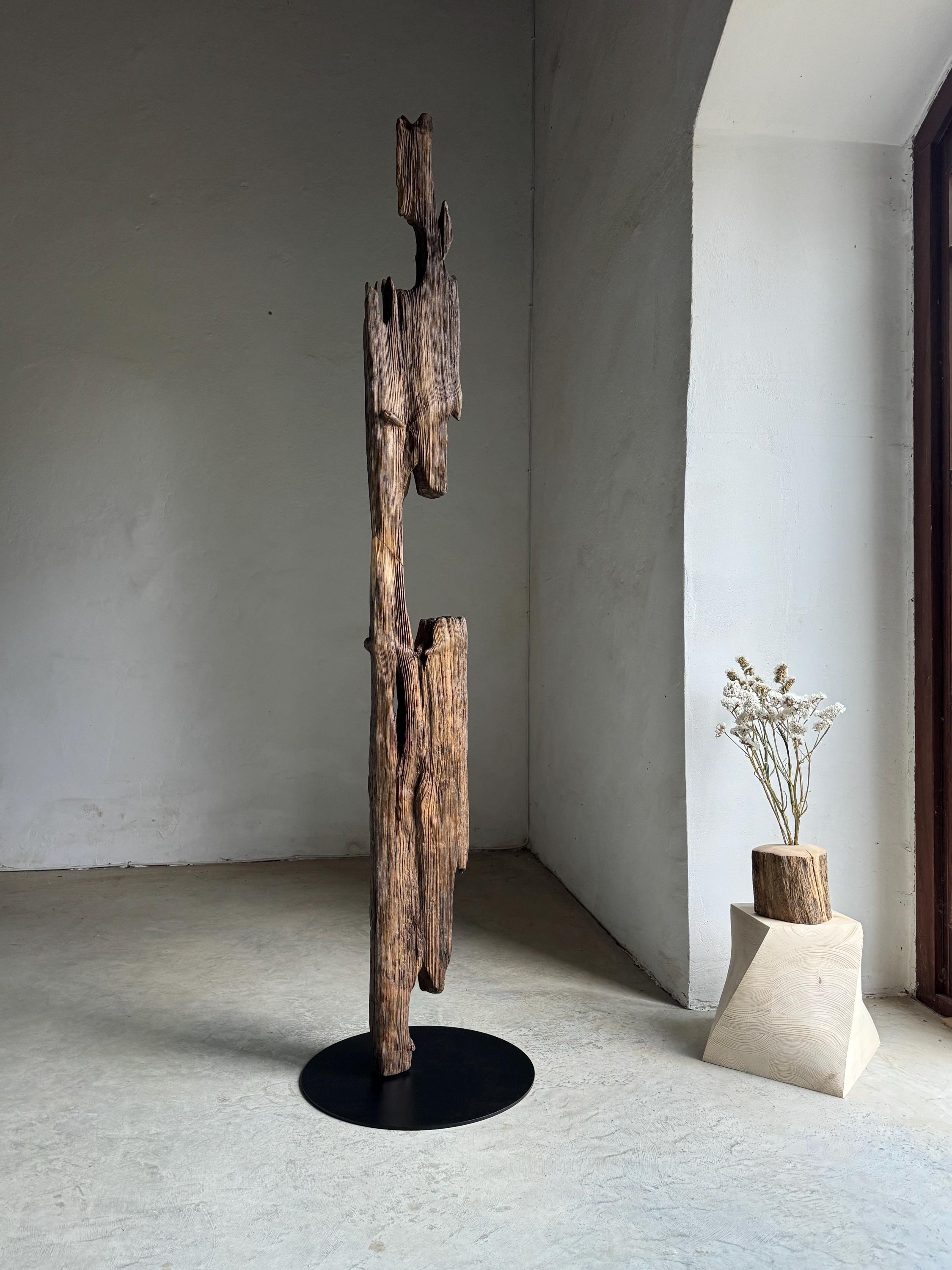 Unique Driftwood Coat Rack Artistic Sculpture With Hidden Hooks ...