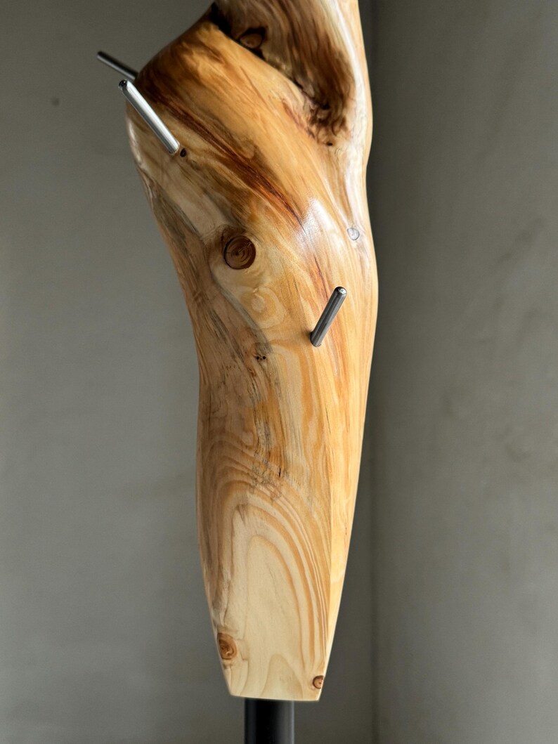 Unique Coat Rack - Handcrafted Art Piece With 10 Hooks. - Etsy