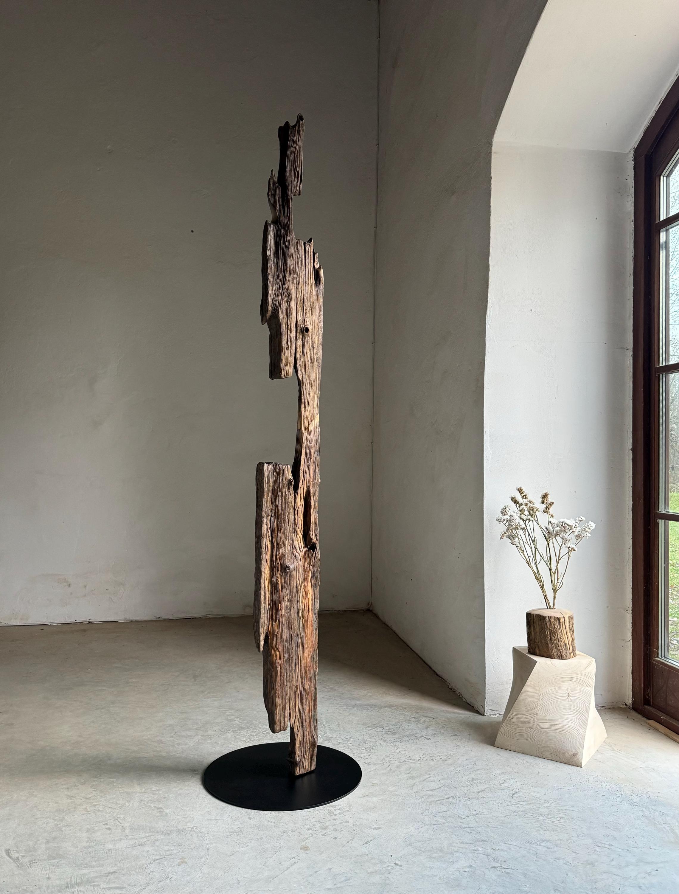 Unique Driftwood Coat Rack Artistic Sculpture With Hidden Hooks ...