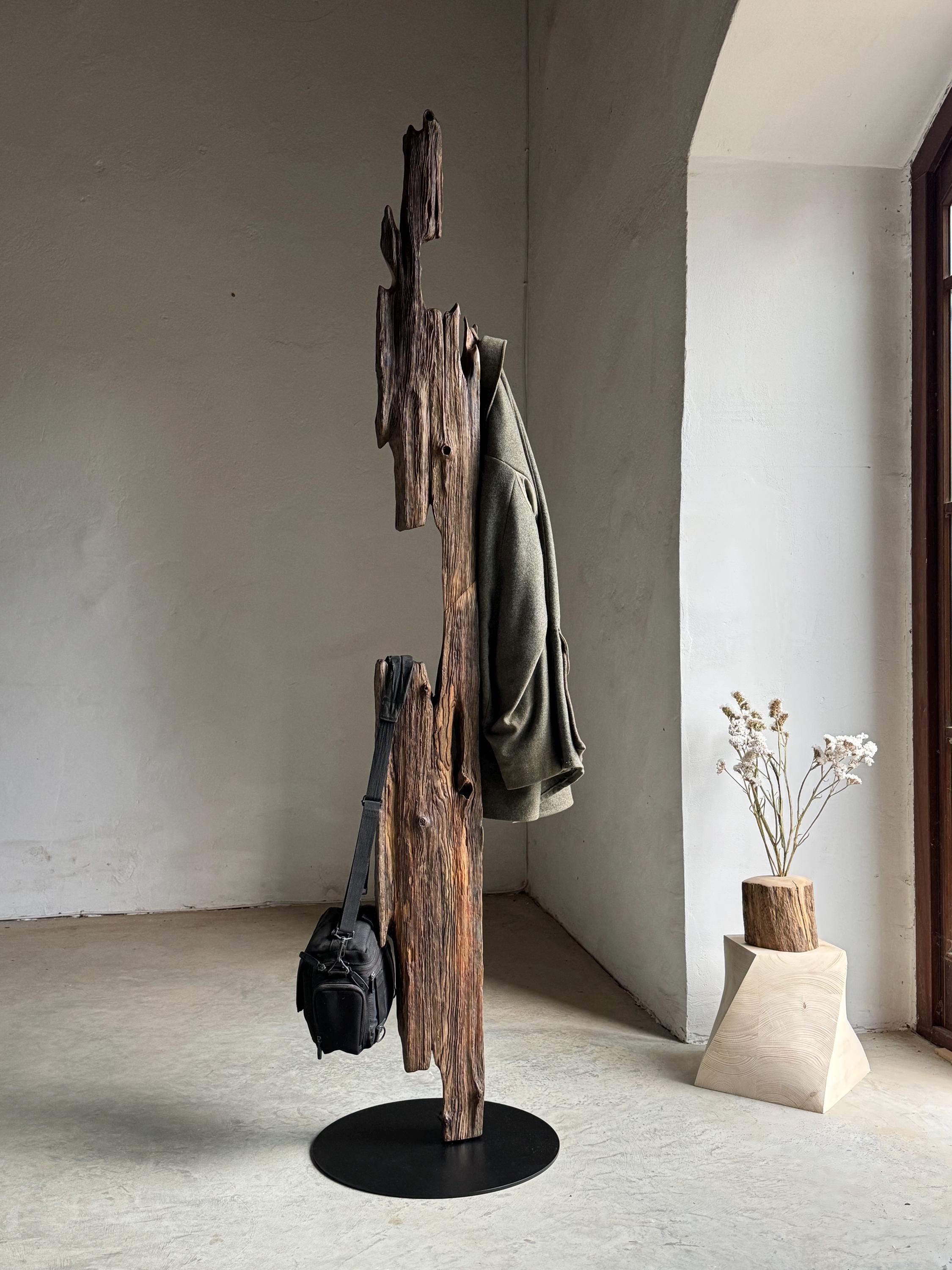 Unique Driftwood Coat Rack Artistic Sculpture With Hidden Hooks ...